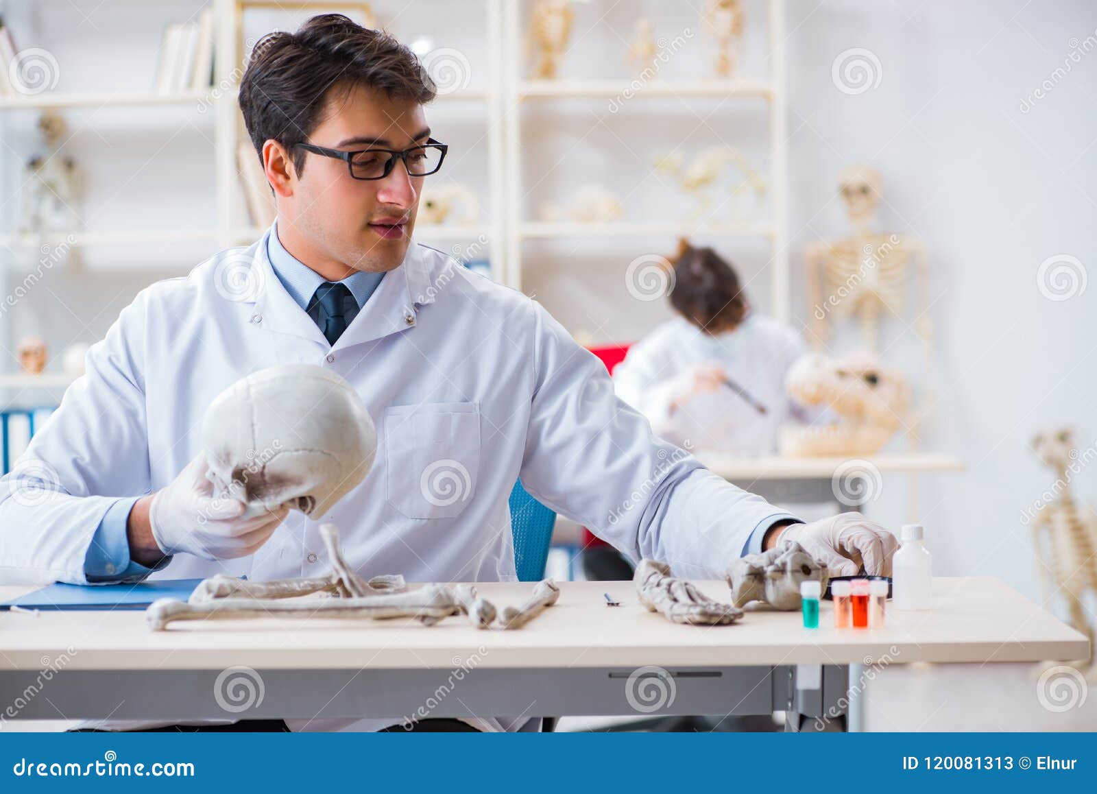 The Professor Studying Human Skeleton in Lab Stock Image - Image of ...