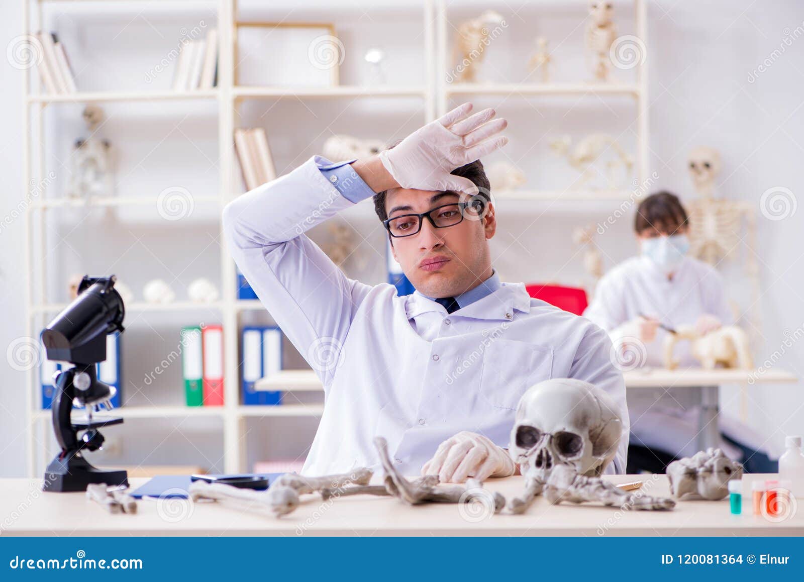 The Professor Studying Human Skeleton in Lab Stock Photo - Image of ...