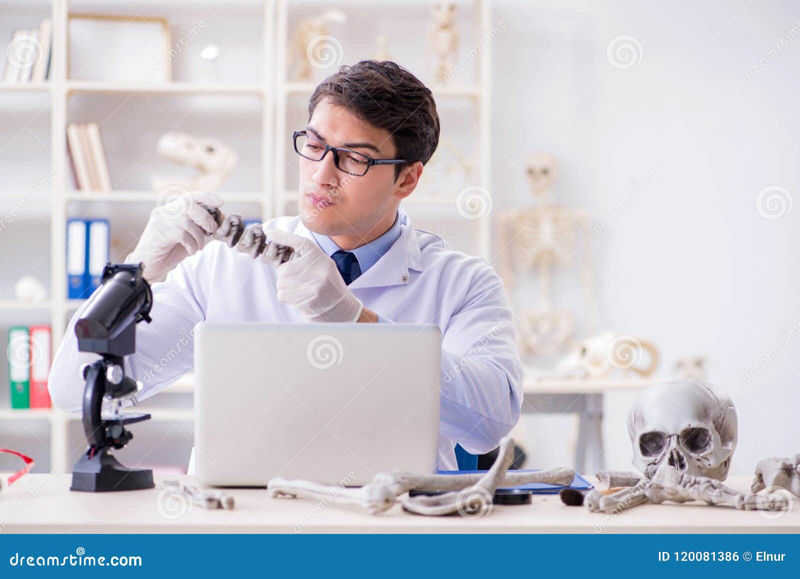 The Professor Studying Human Skeleton in Lab Stock Photo - Image of ...