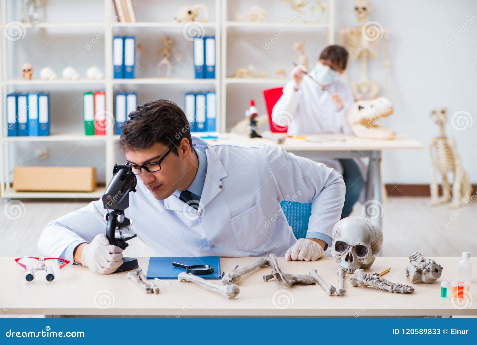 The Professor Studying Human Skeleton in Lab Stock Image - Image of ...