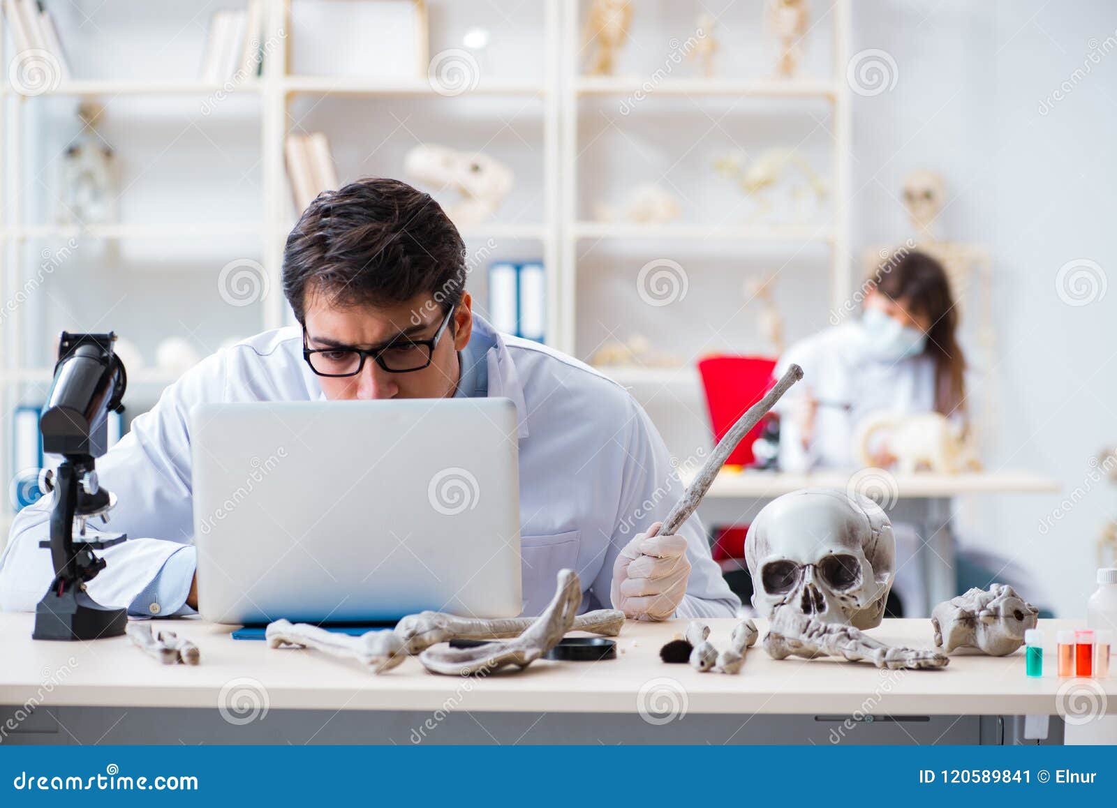 The Professor Studying Human Skeleton in Lab Stock Image - Image of ...