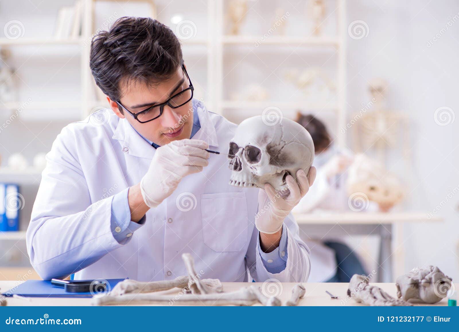 The Professor Studying Human Skeleton in Lab Stock Image - Image of ...