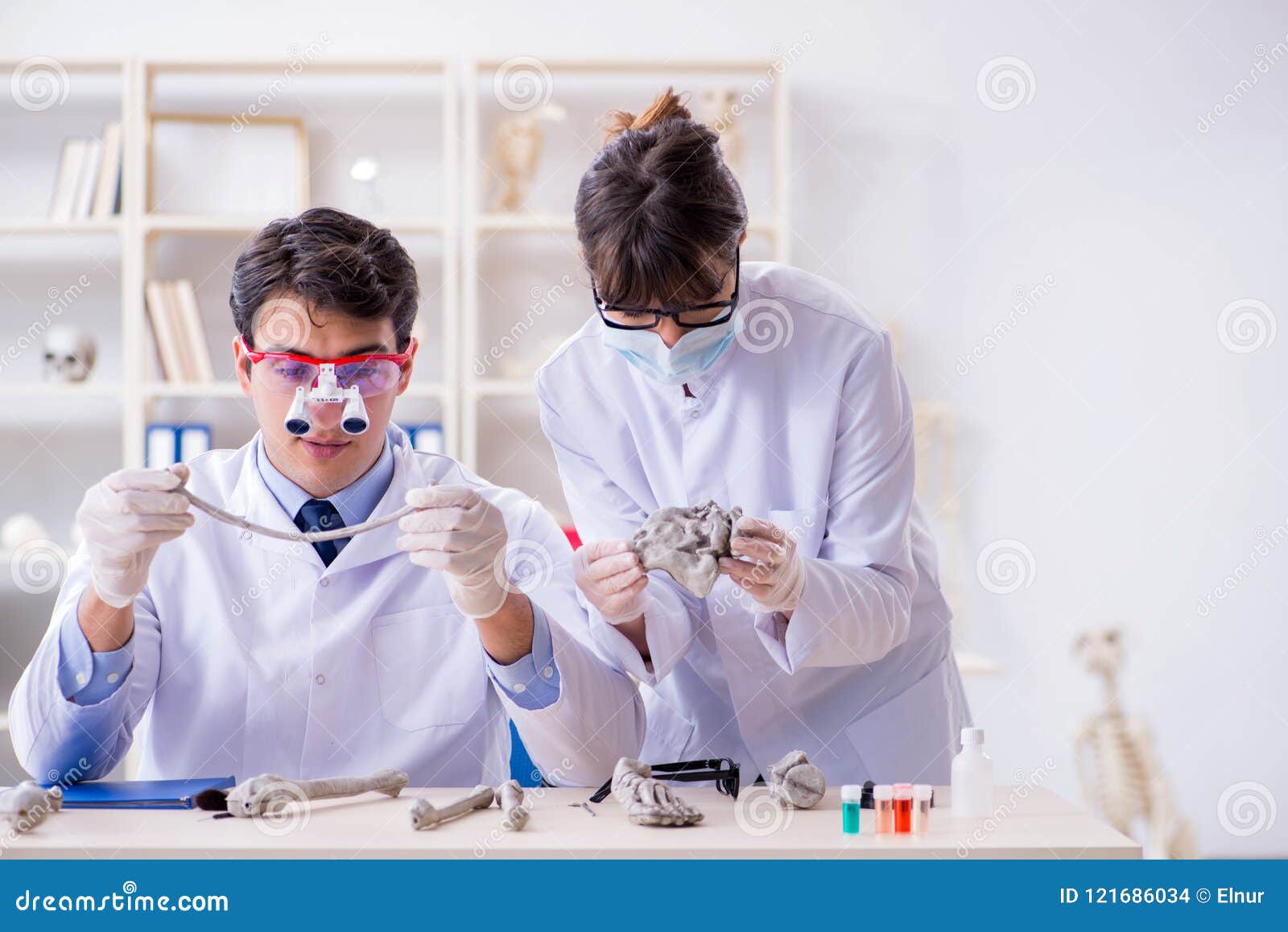 The Professor Studying Human Skeleton in Lab Stock Photo - Image of ...