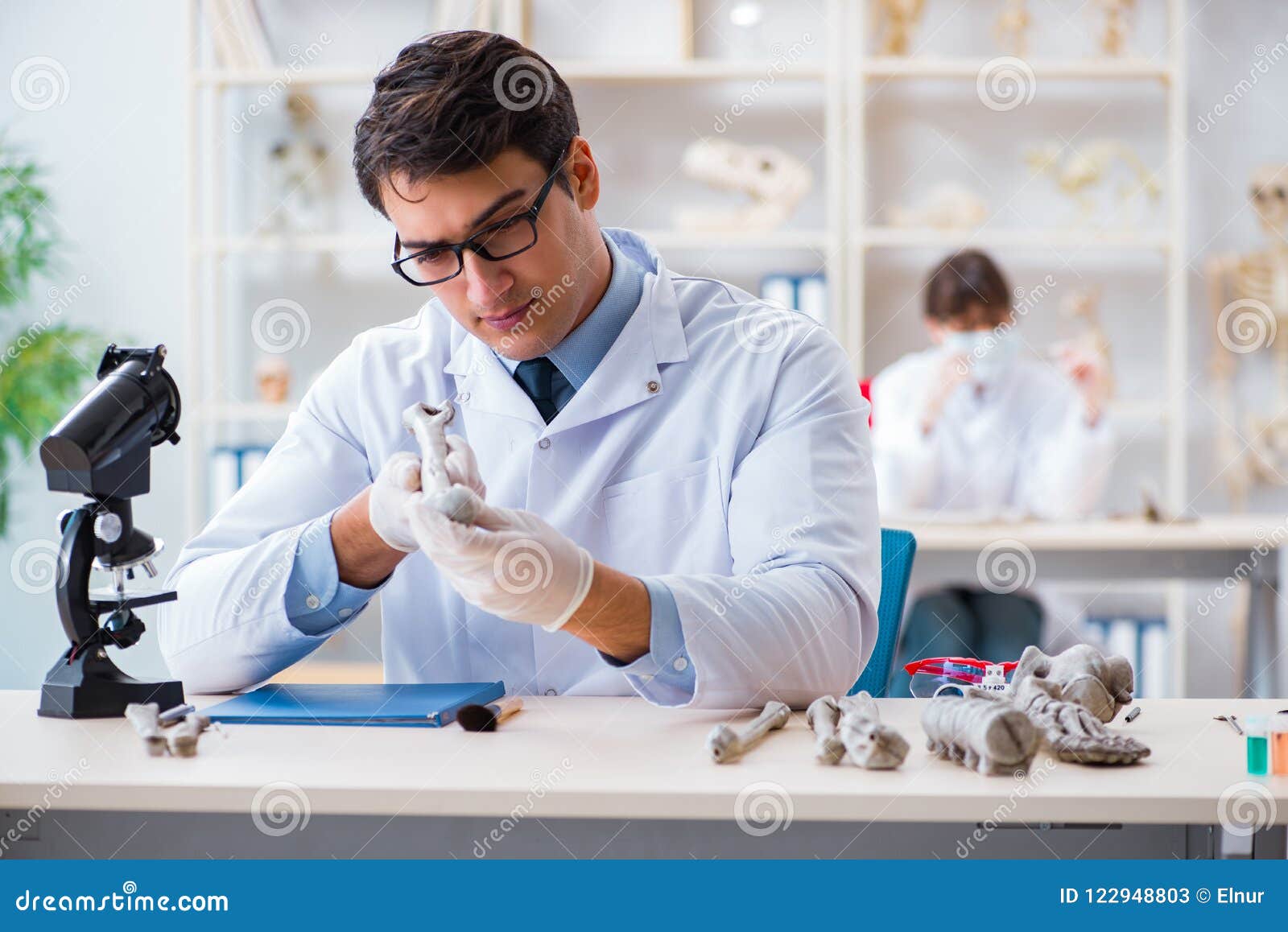 The Professor Studying Human Skeleton in Lab Stock Image - Image of ...