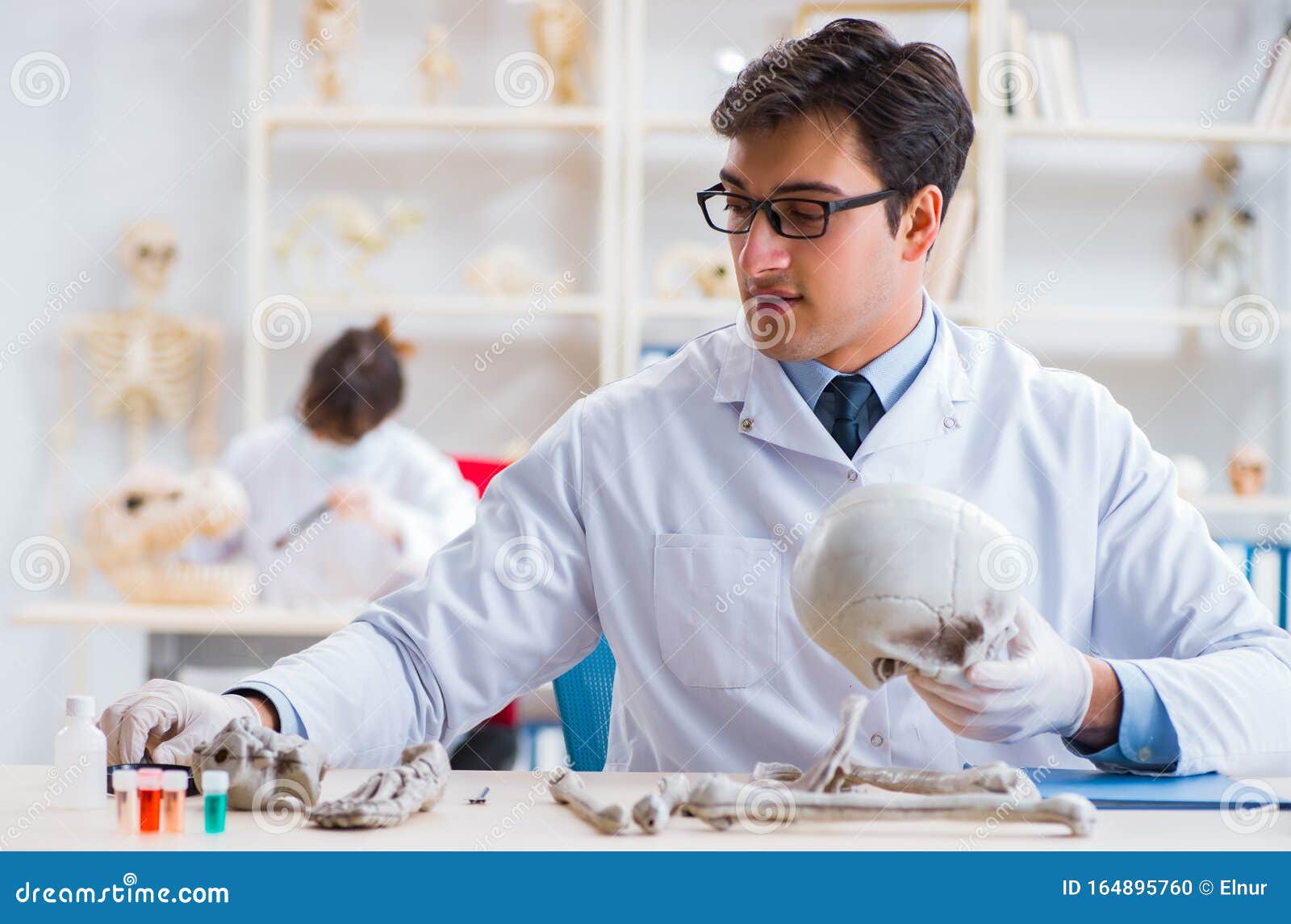 Professor Studying Human Skeleton in Lab Stock Photo - Image of history ...