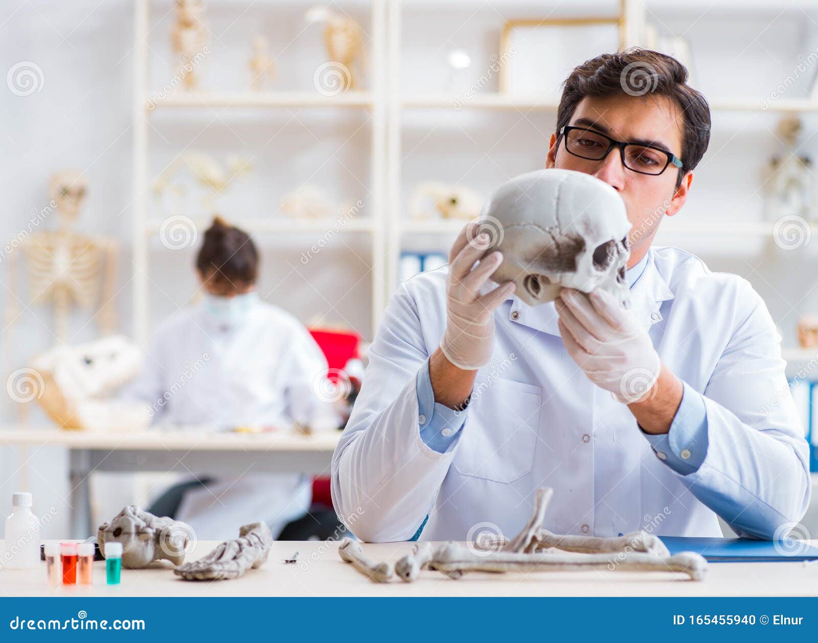 Professor Studying Human Skeleton in Lab Stock Photo - Image of ...
