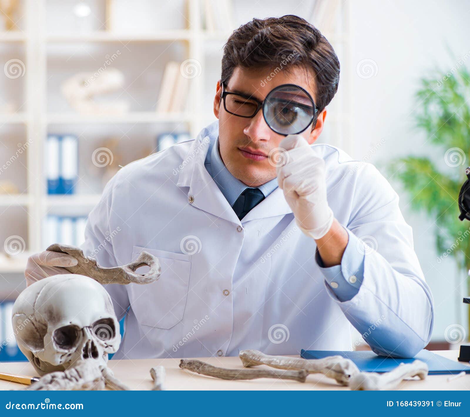 Professor Studying Human Skeleton in Lab Stock Image - Image of ...