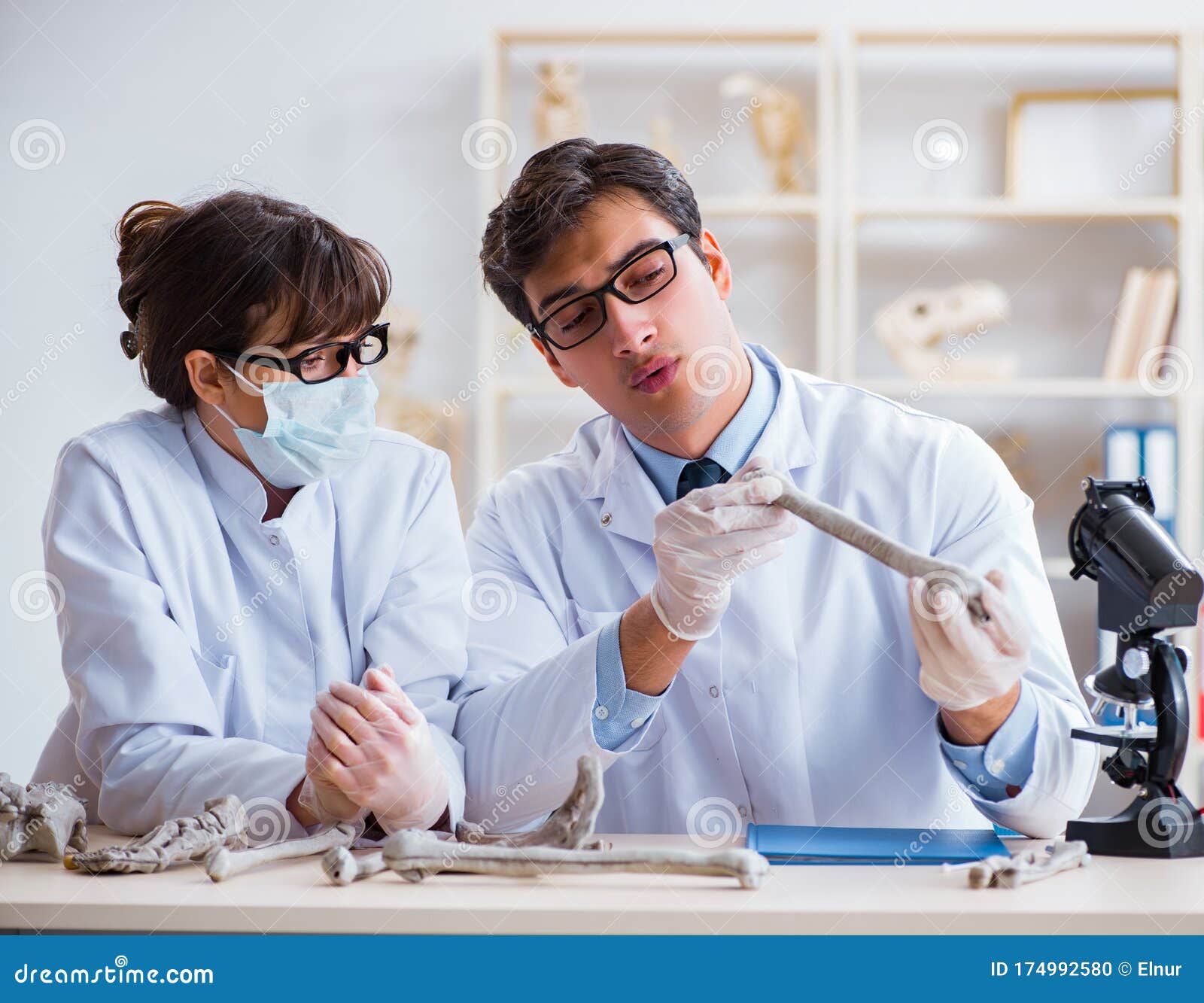 Professor Studying Human Skeleton in Lab Stock Photo - Image of ...