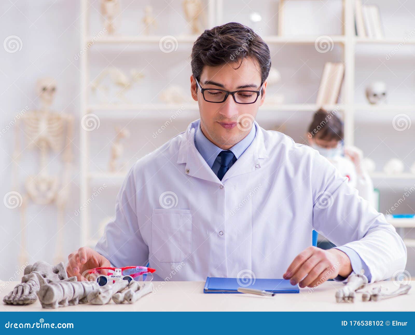 Professor Studying Human Skeleton in Lab Stock Photo - Image of ...