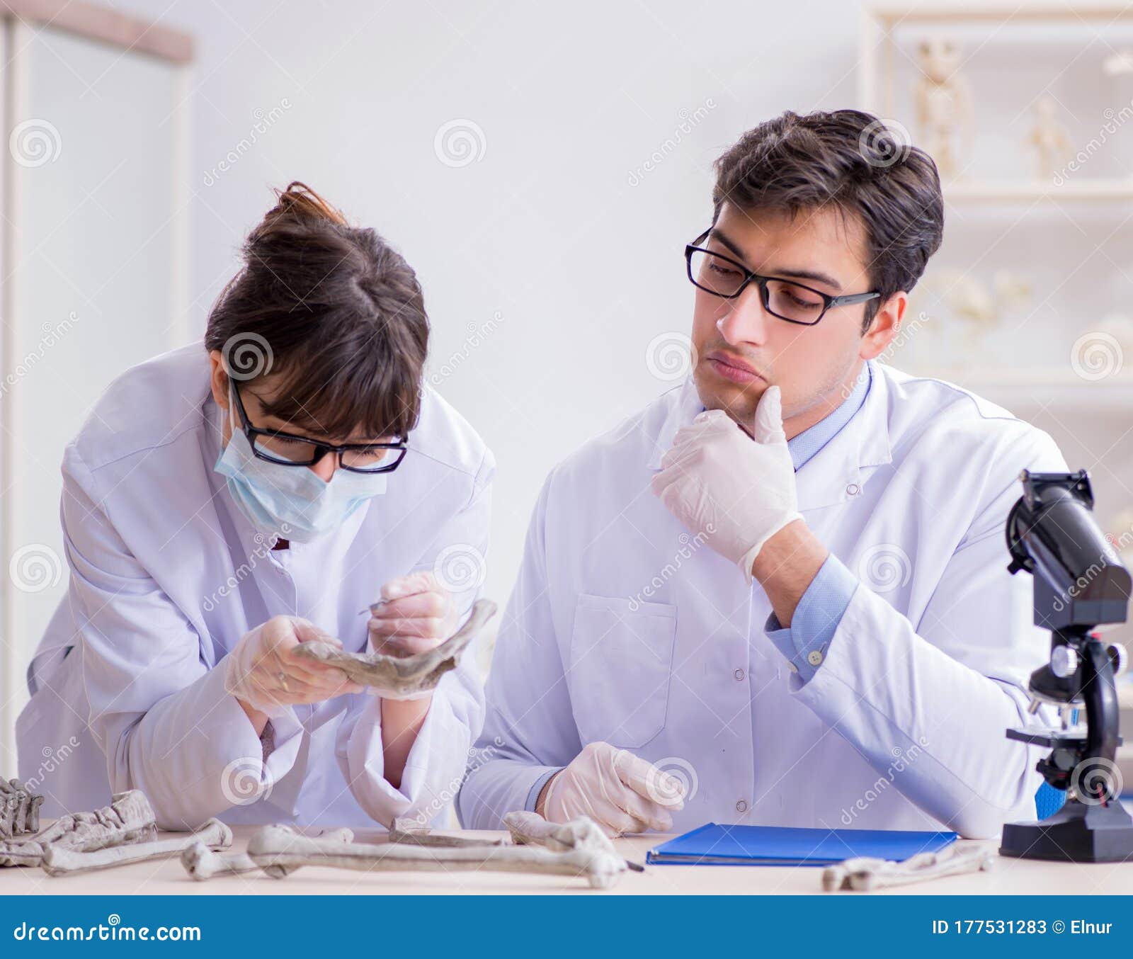 Professor Studying Human Skeleton in Lab Stock Image - Image of ...