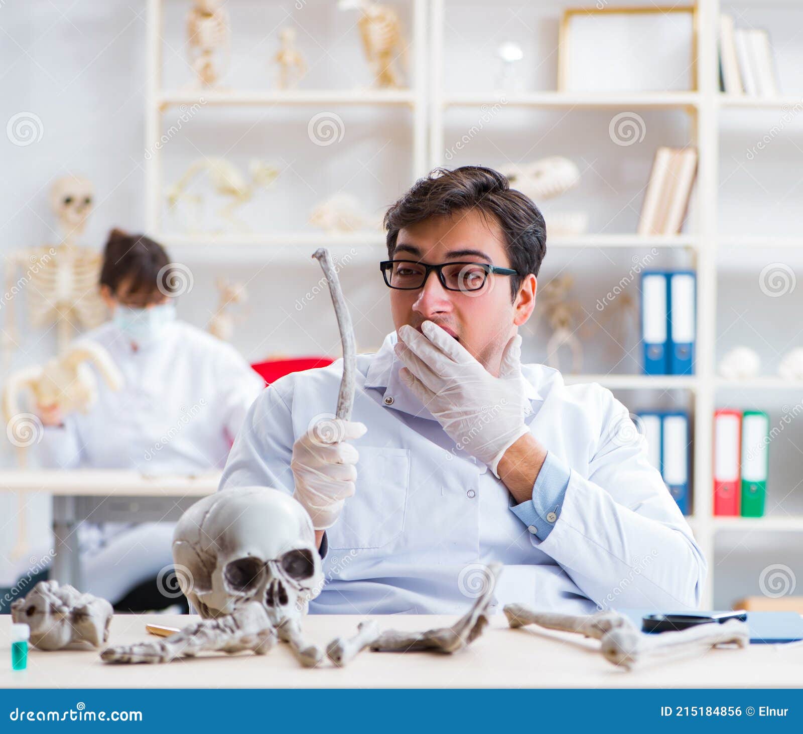 Professor Studying Human Skeleton in Lab Stock Photo - Image of ...