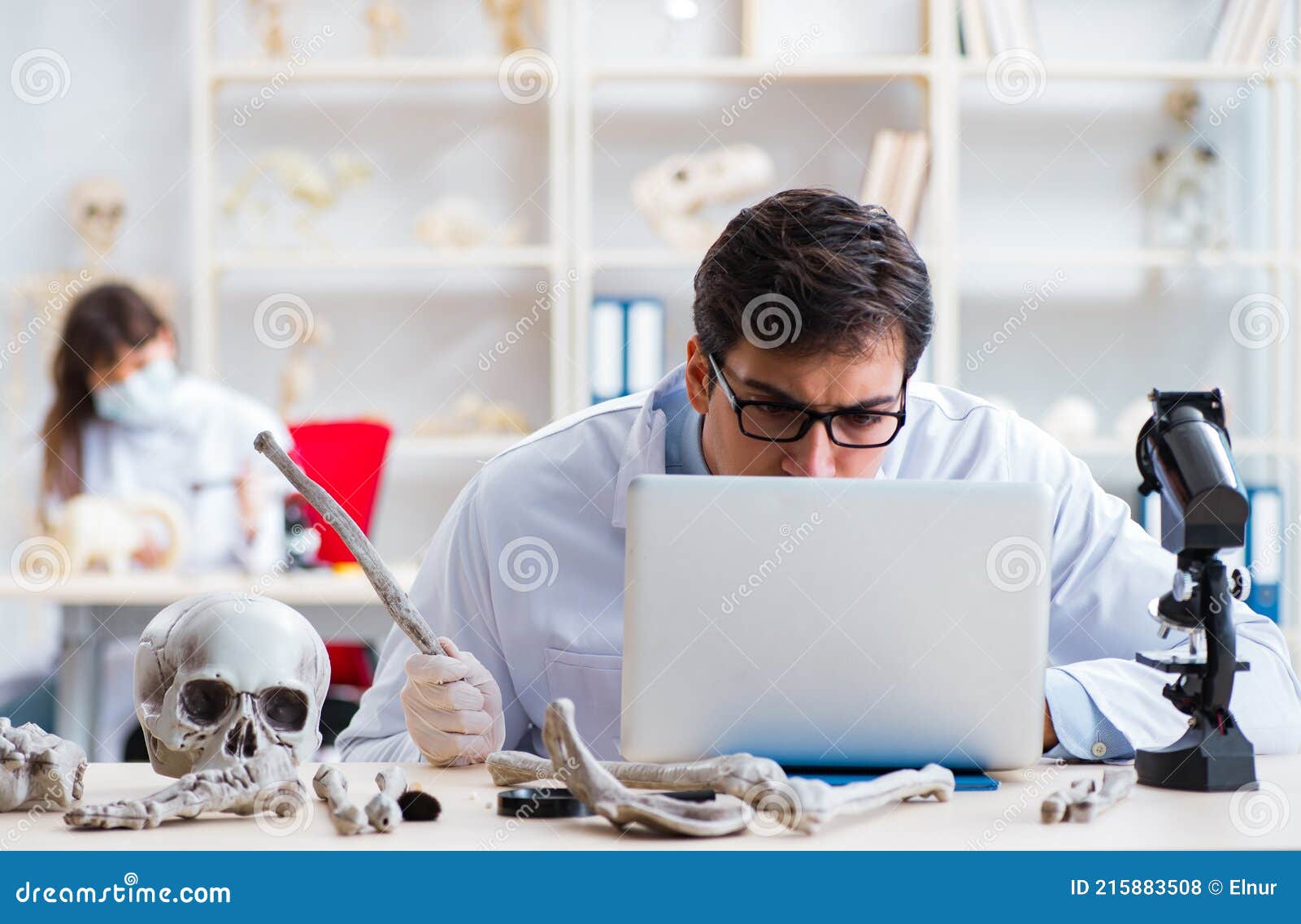 Professor Studying Human Skeleton in Lab Stock Photo - Image of ...
