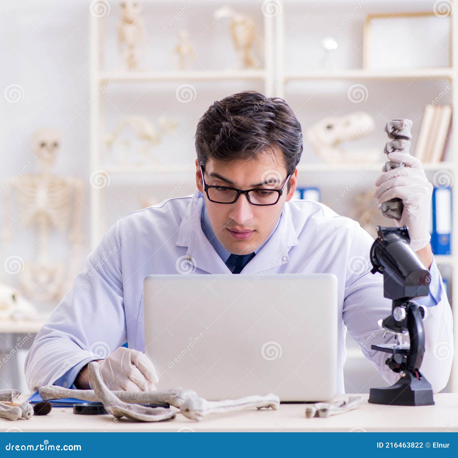 Professor Studying Human Skeleton in Lab Stock Photo - Image of doctor ...
