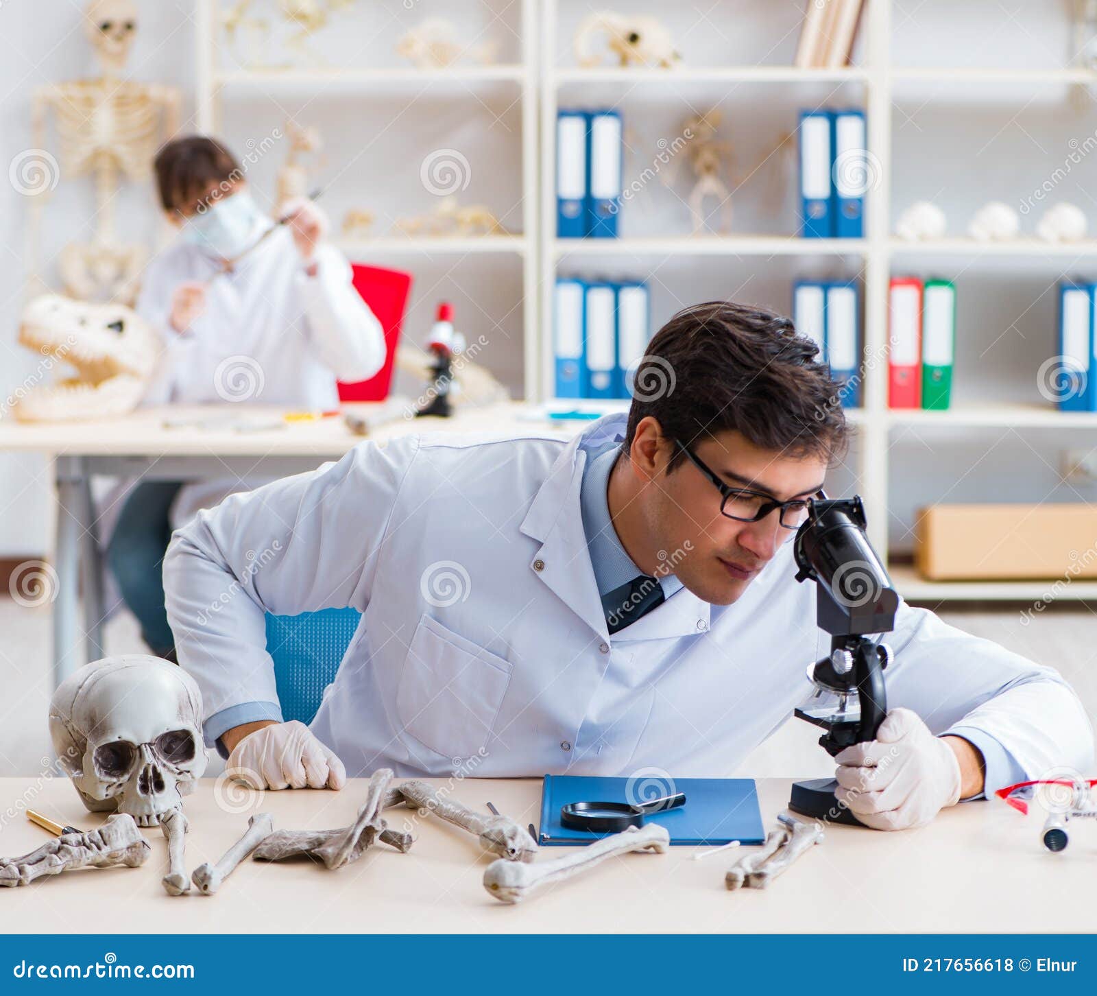 Professor Studying Human Skeleton in Lab Stock Photo - Image of ...