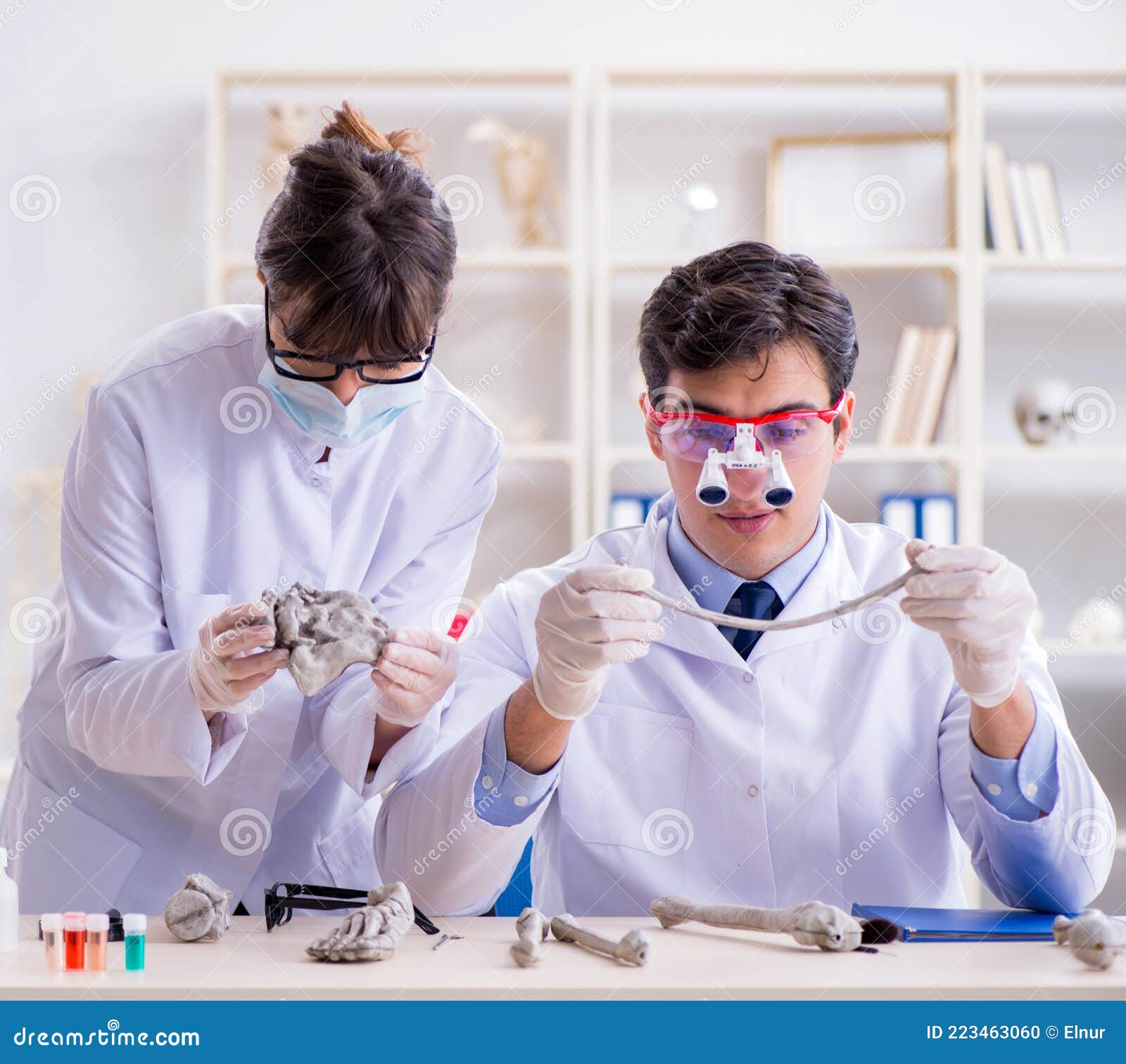 Professor Studying Human Skeleton in Lab Stock Photo - Image of ...