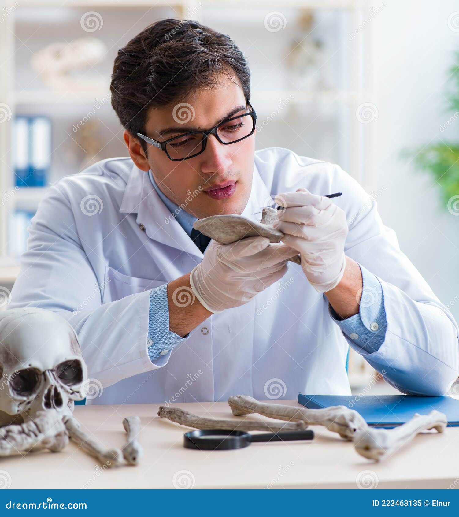 Professor Studying Human Skeleton in Lab Stock Image - Image of ...