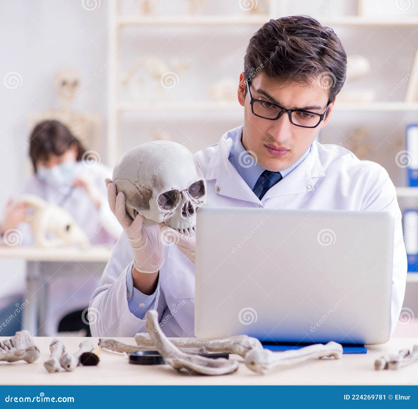 Professor Studying Human Skeleton in Lab Stock Image - Image of ...