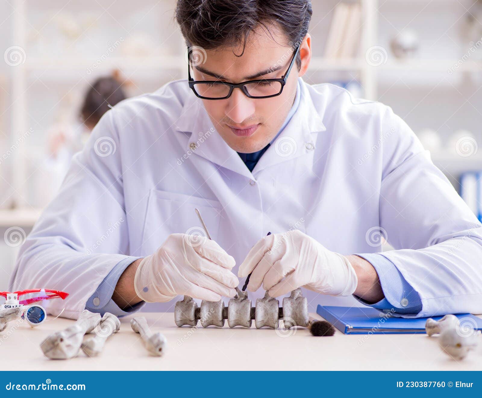 Professor Studying Human Skeleton in Lab Stock Photo - Image of ...