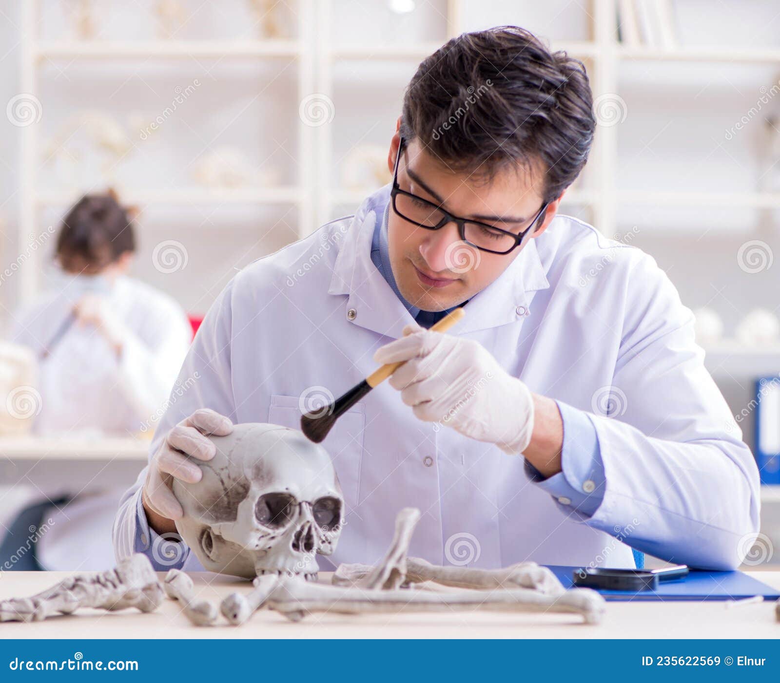 Professor Studying Human Skeleton in Lab Stock Image - Image of medical ...