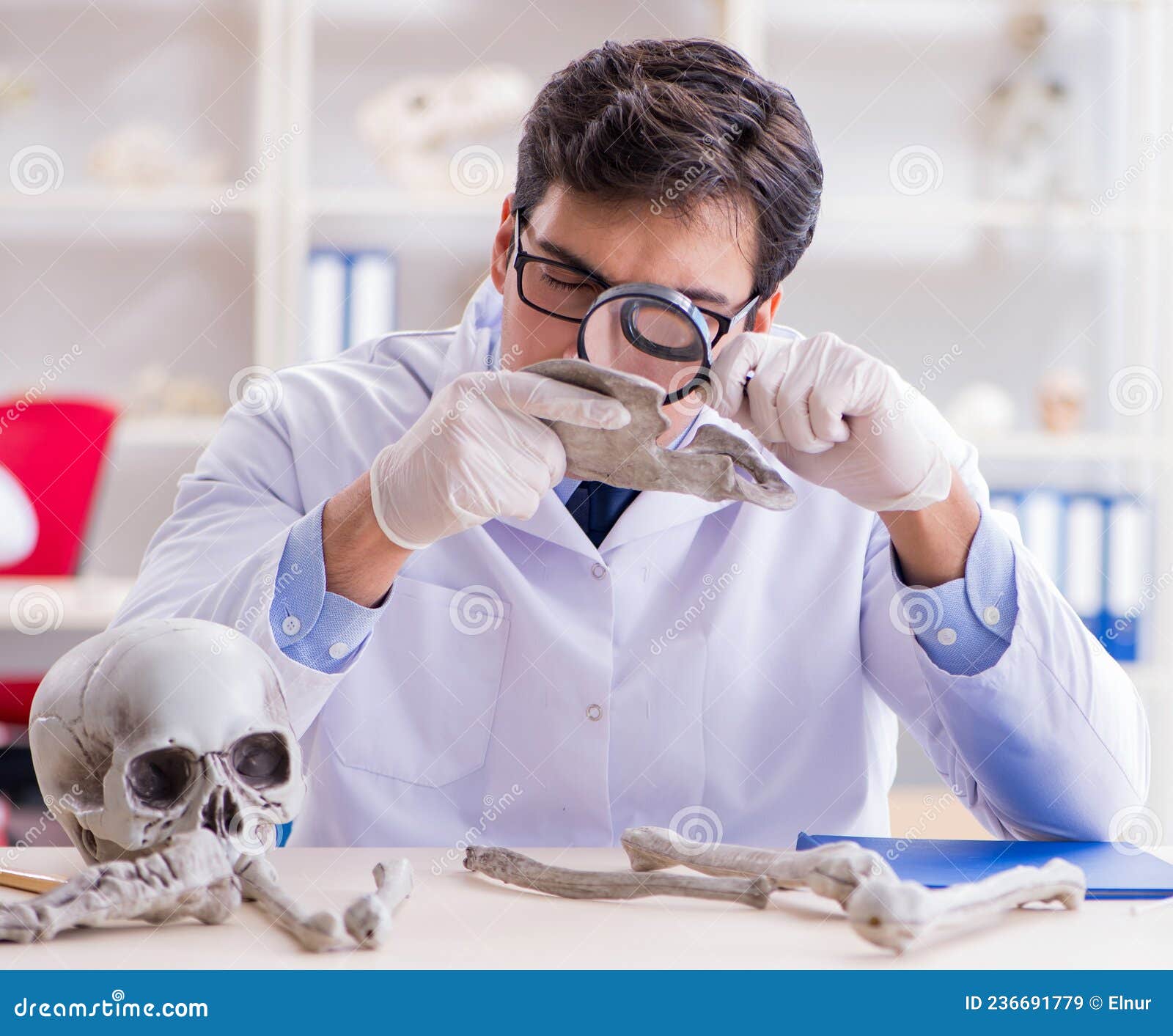 Professor Studying Human Skeleton in Lab Stock Image - Image of ...
