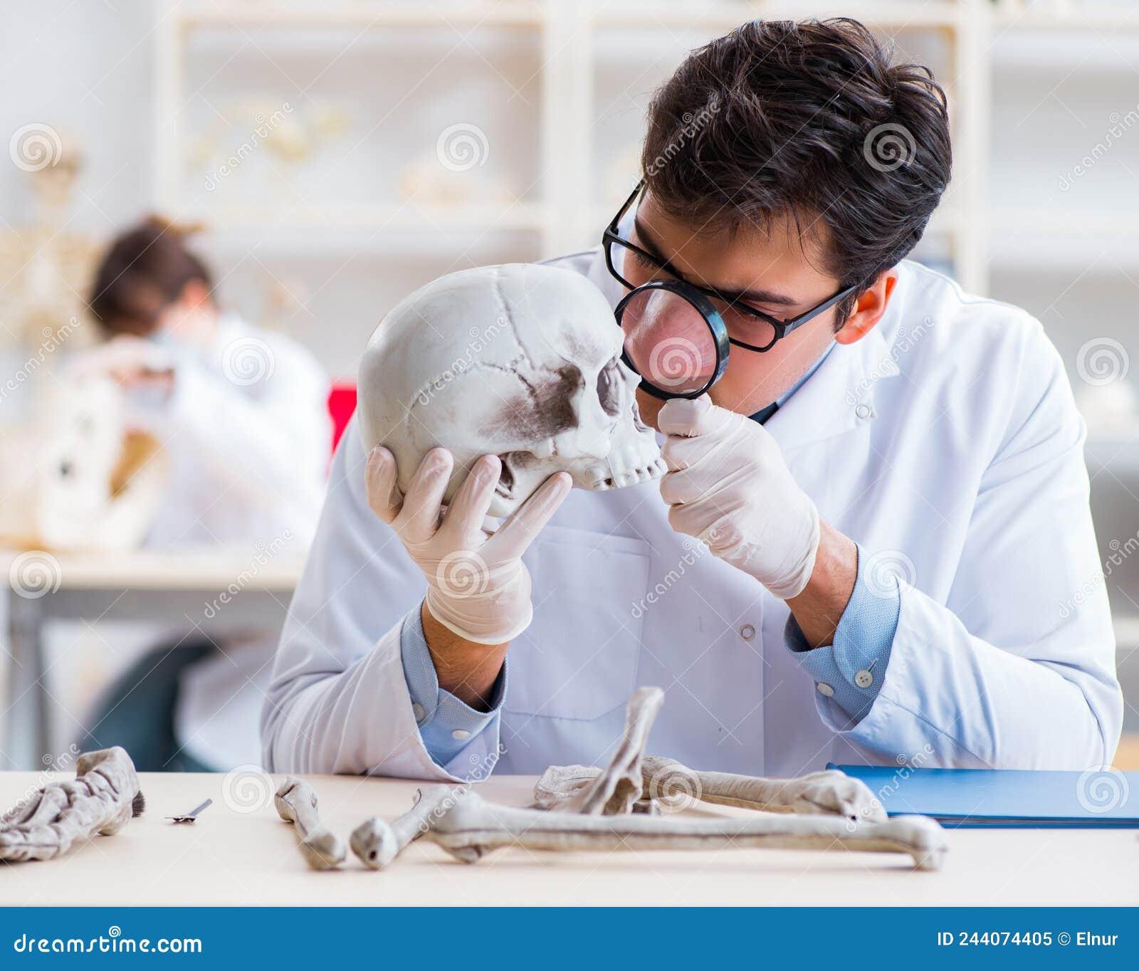 Professor Studying Human Skeleton in Lab Stock Image - Image of ...