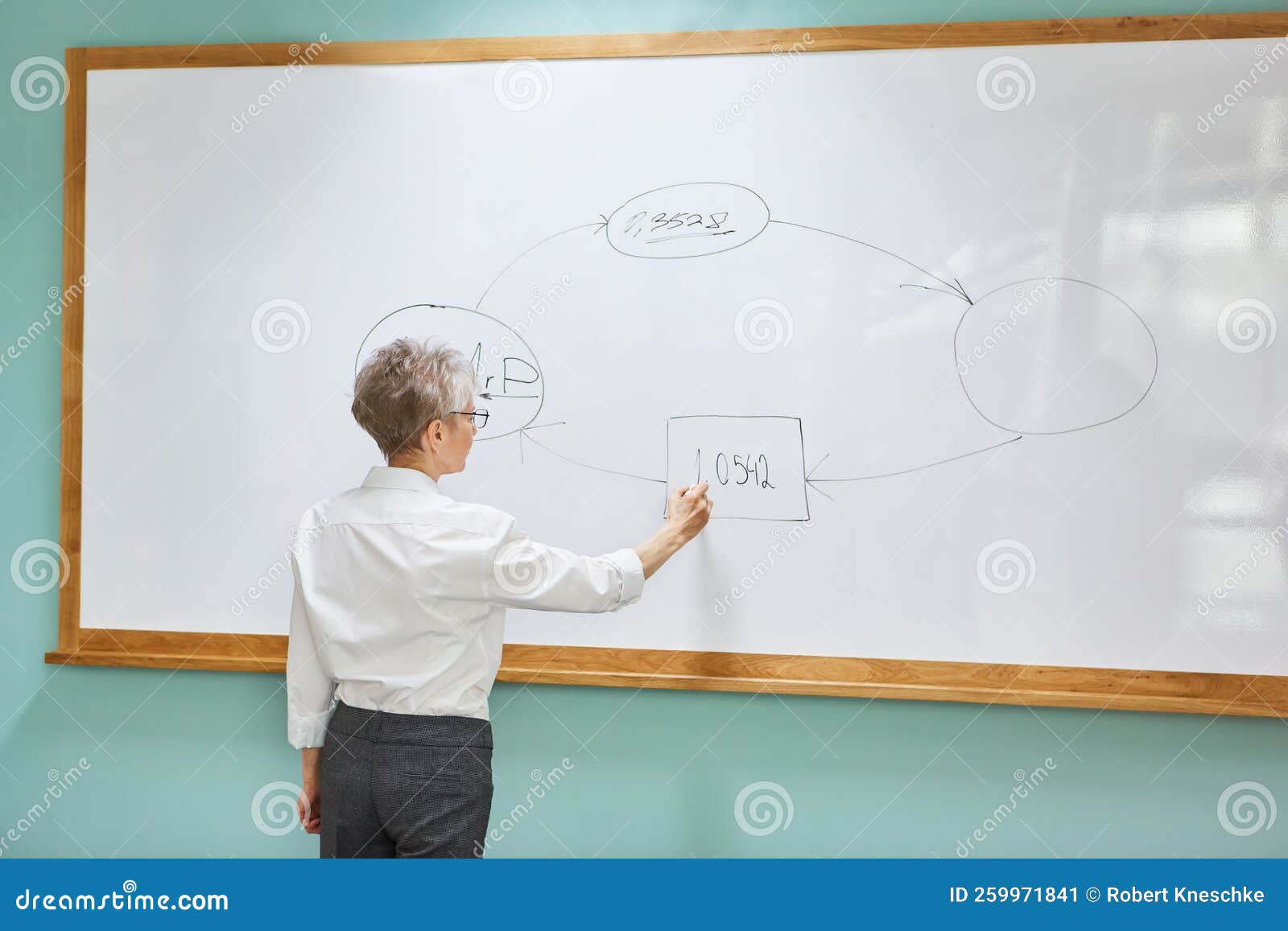 Professor at the Whiteboard in a Lecture Stock Image - Image of ...