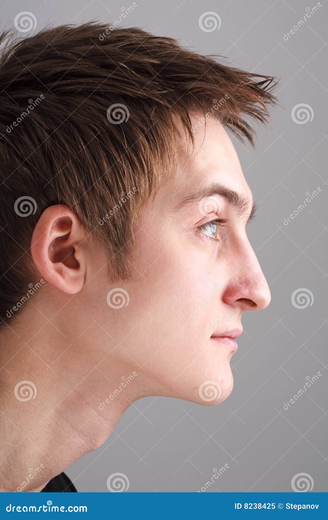 Profiel. Mooie mens. stock afbeelding. Image of mannelijkheid - 8238425