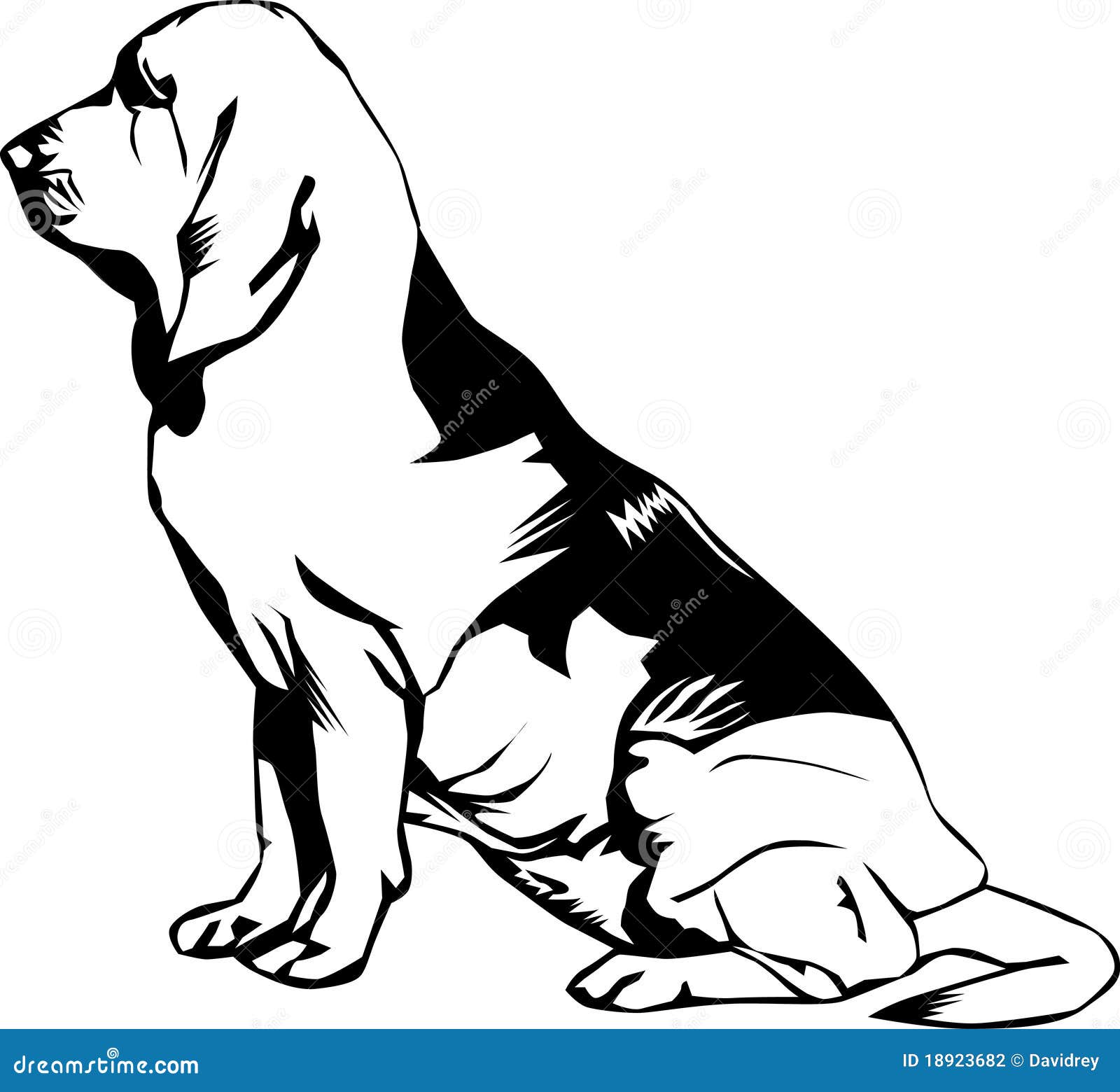 Profil d'un limier illustration stock. Illustration du illustration ...