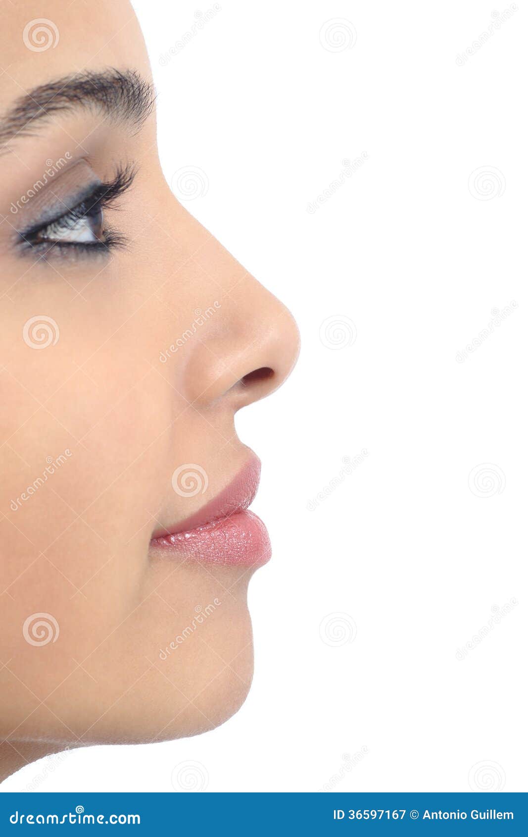 Profils De Nez Parfaits