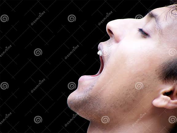 Profil de cri d'homme image stock. Image du détail, crie - 6720737