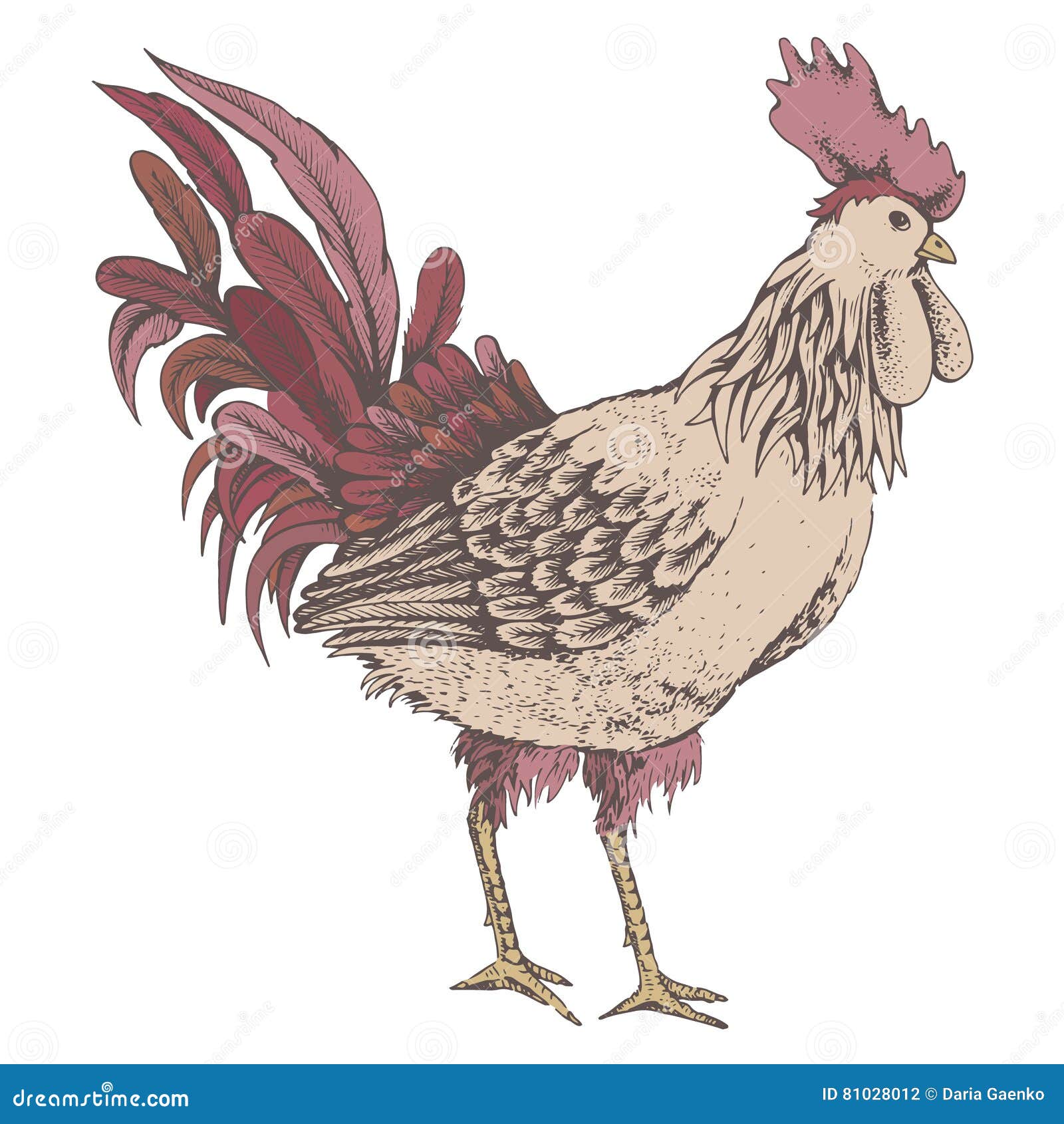 Profil de croquis de coq illustration de vecteur. Illustration du ...