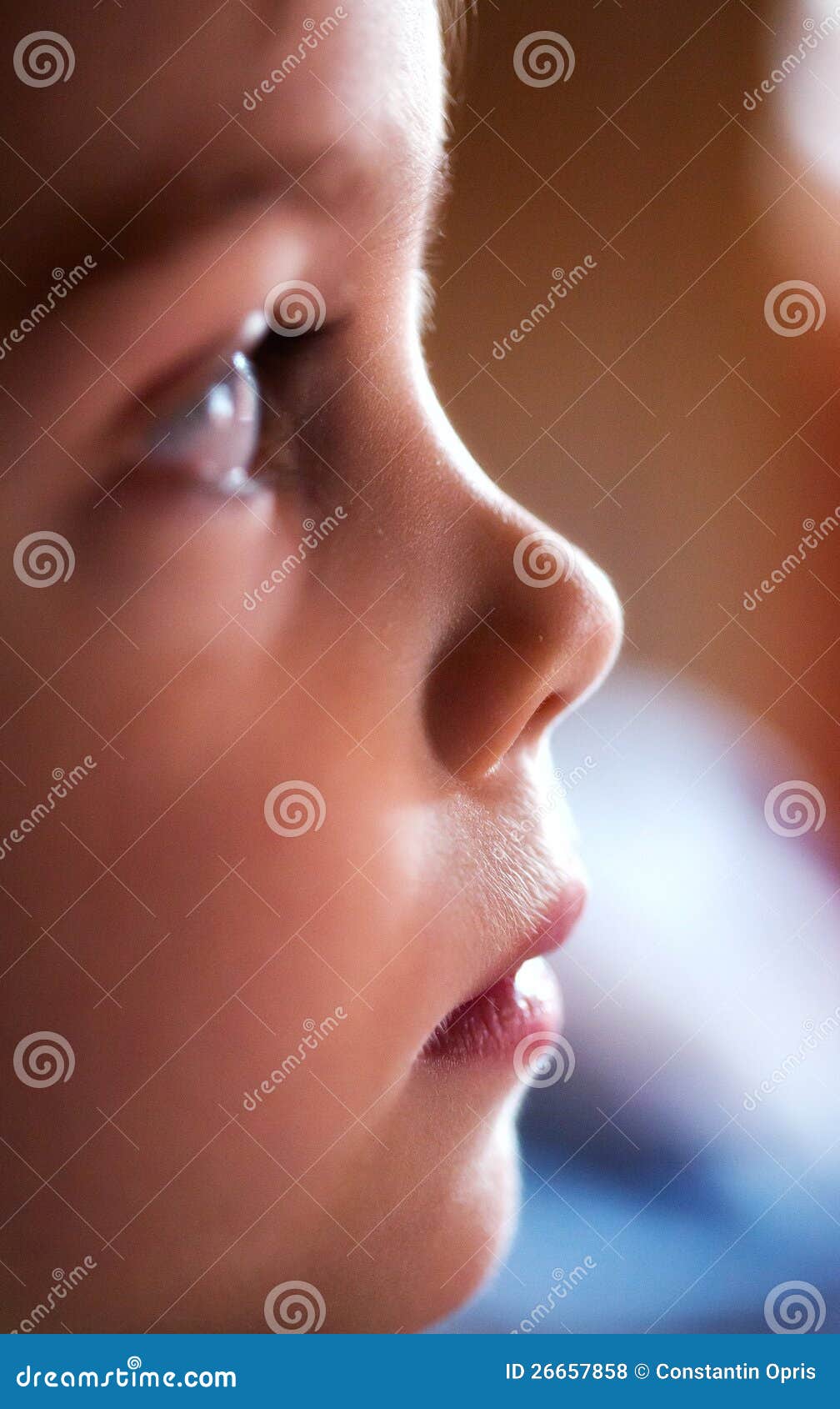 Profil de visage d'enfant photo stock. Image du penser - 26657858