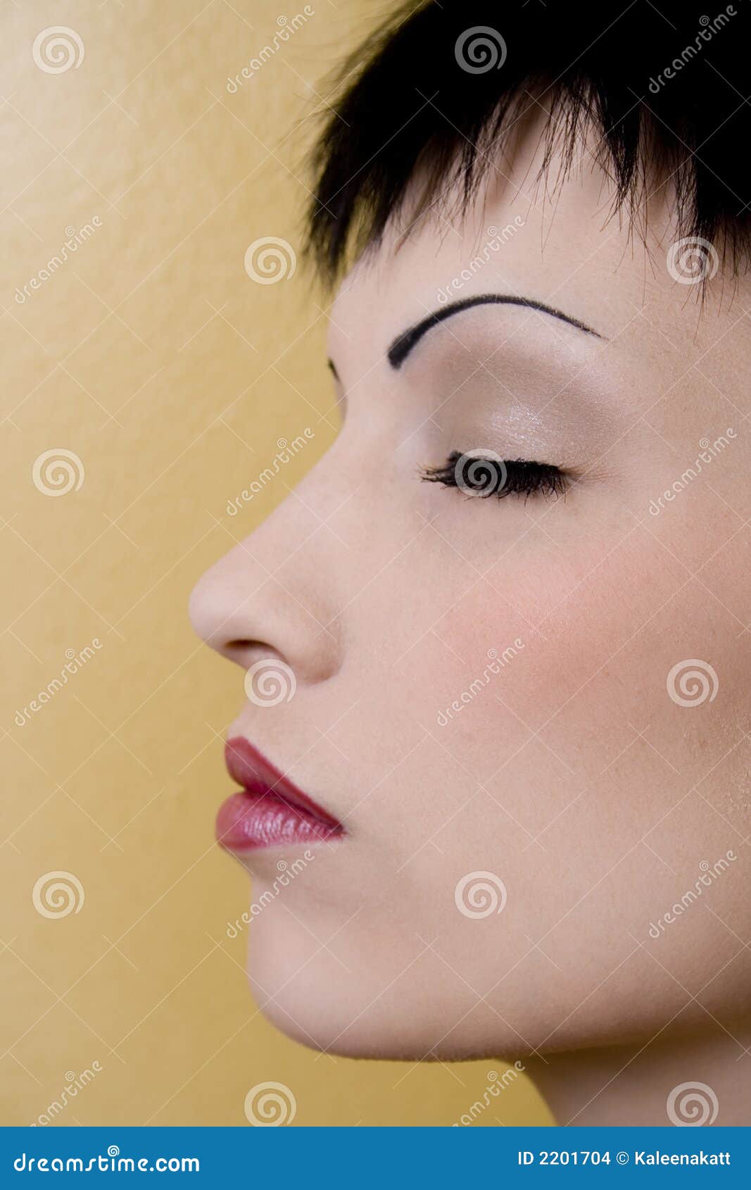 Profile stock photo. Image of alluring, lipstick, bright - 2201704