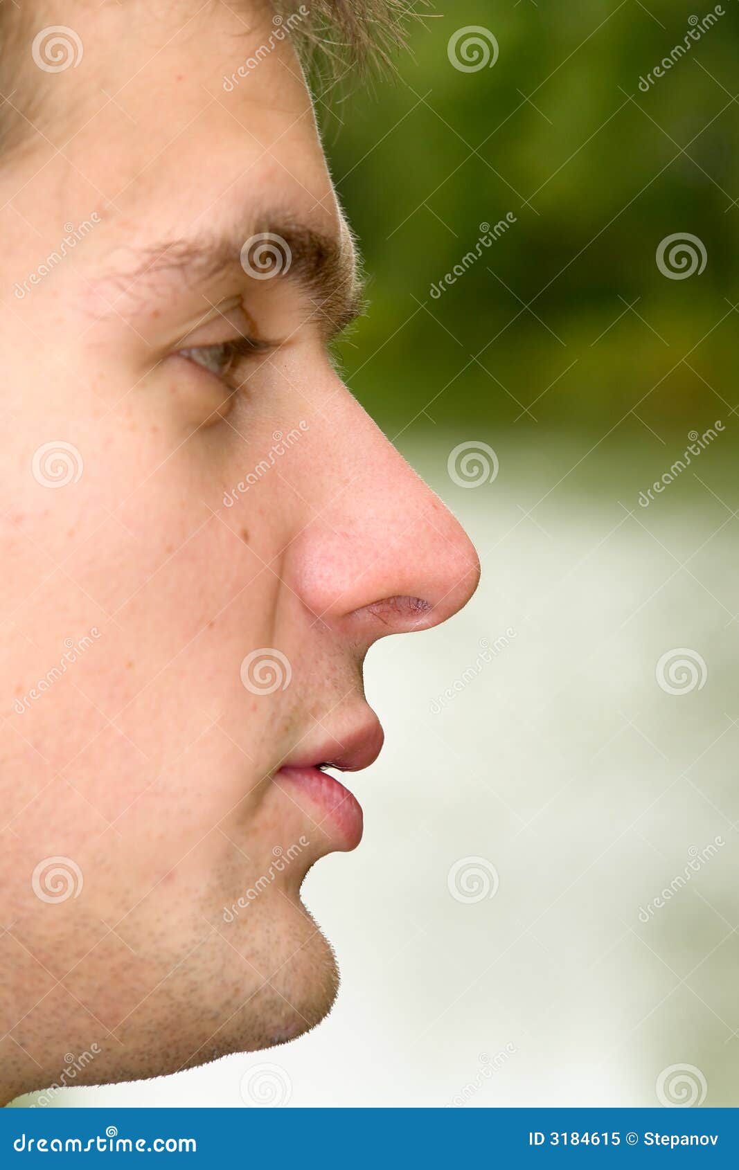 Profile stock image. Image of skin, pensive, people, facial - 3184615