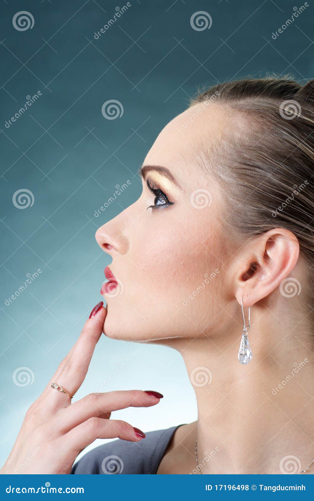 Profile of beautiful woman stock photo. Image of modern - 17196498