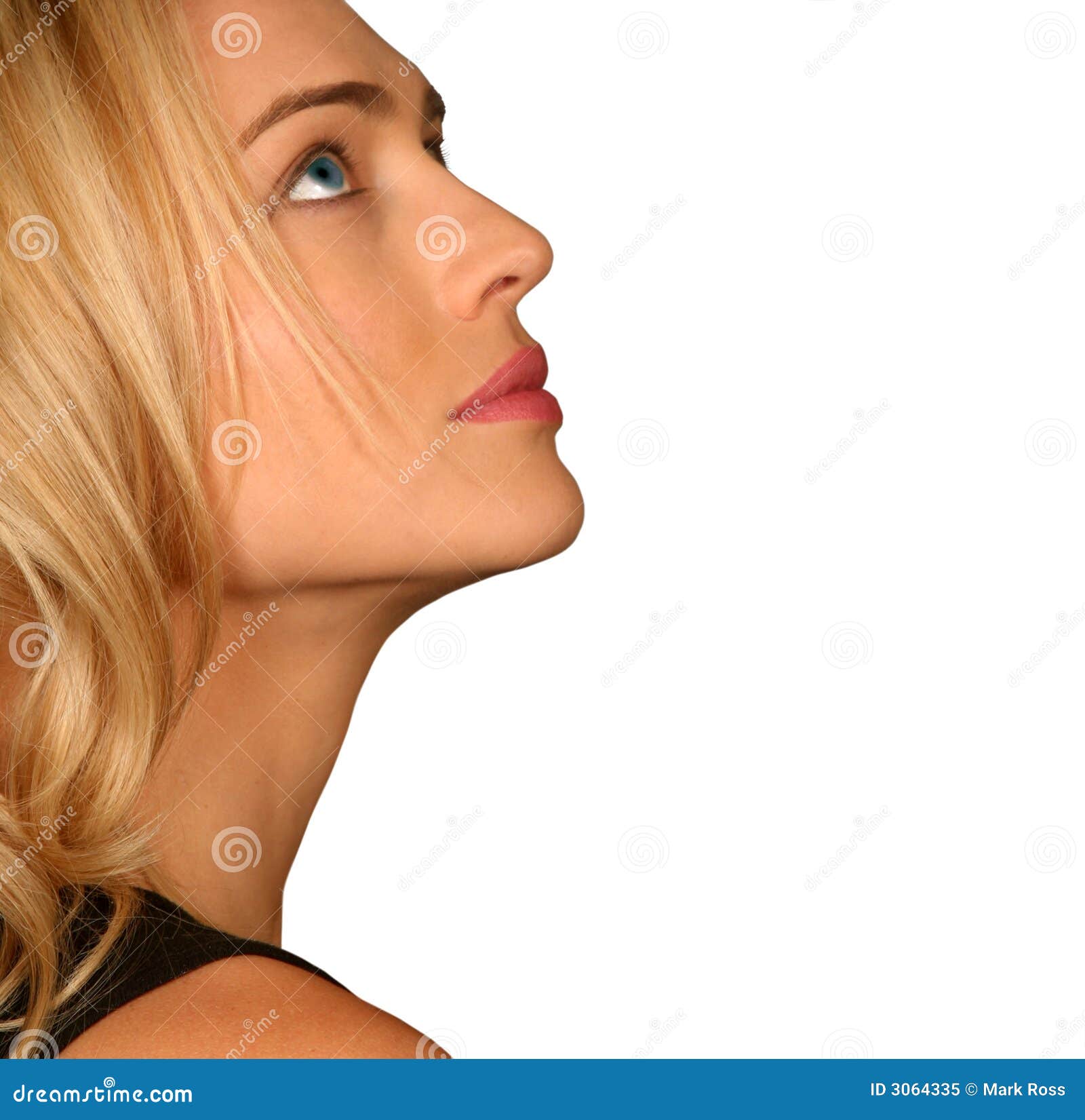 Profile of a Beautiful Woman Stock Image - Image of glamour, young: 3064335