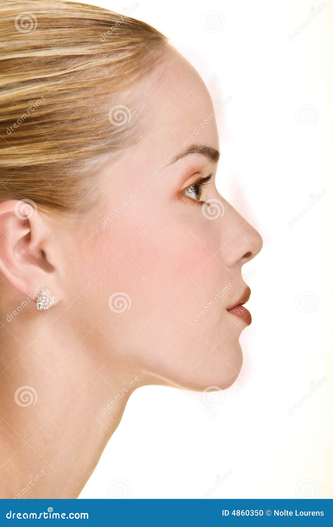 Profile of beauty stock photo. Image of babe, attractive - 4860350