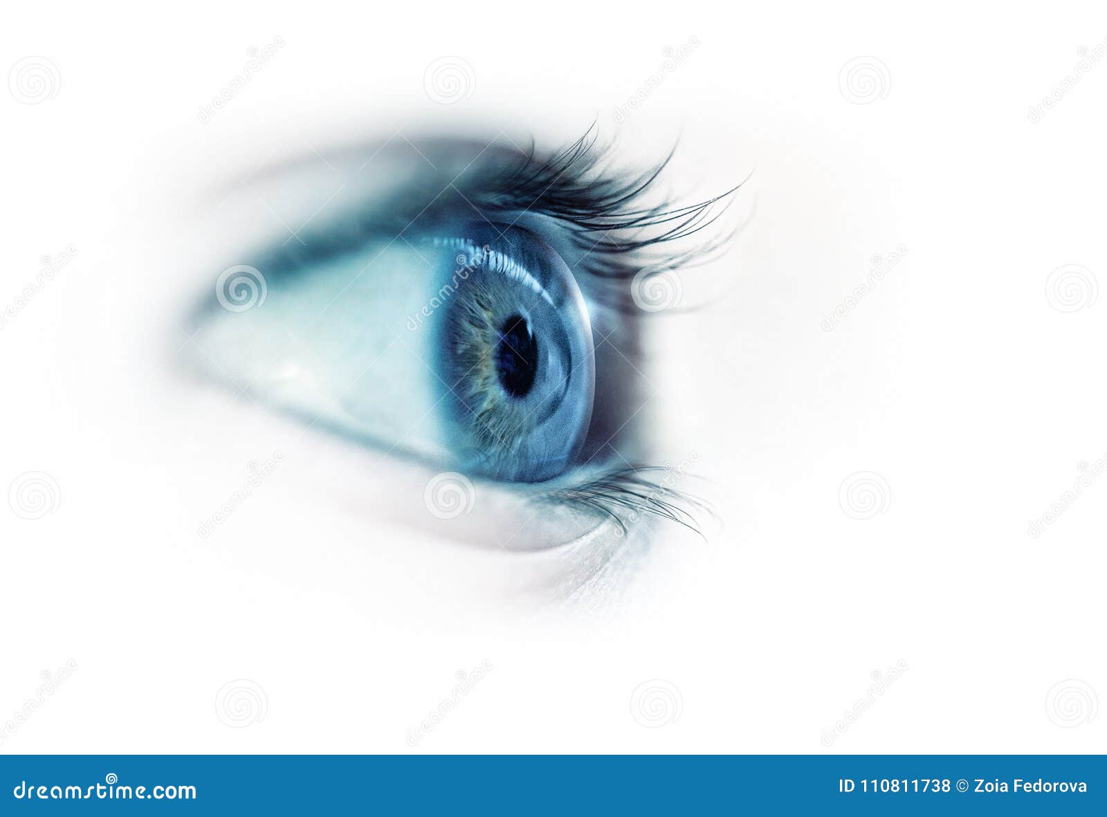 Blue eye close-up stock photo. Image of view, face, eyebrow - 110811738