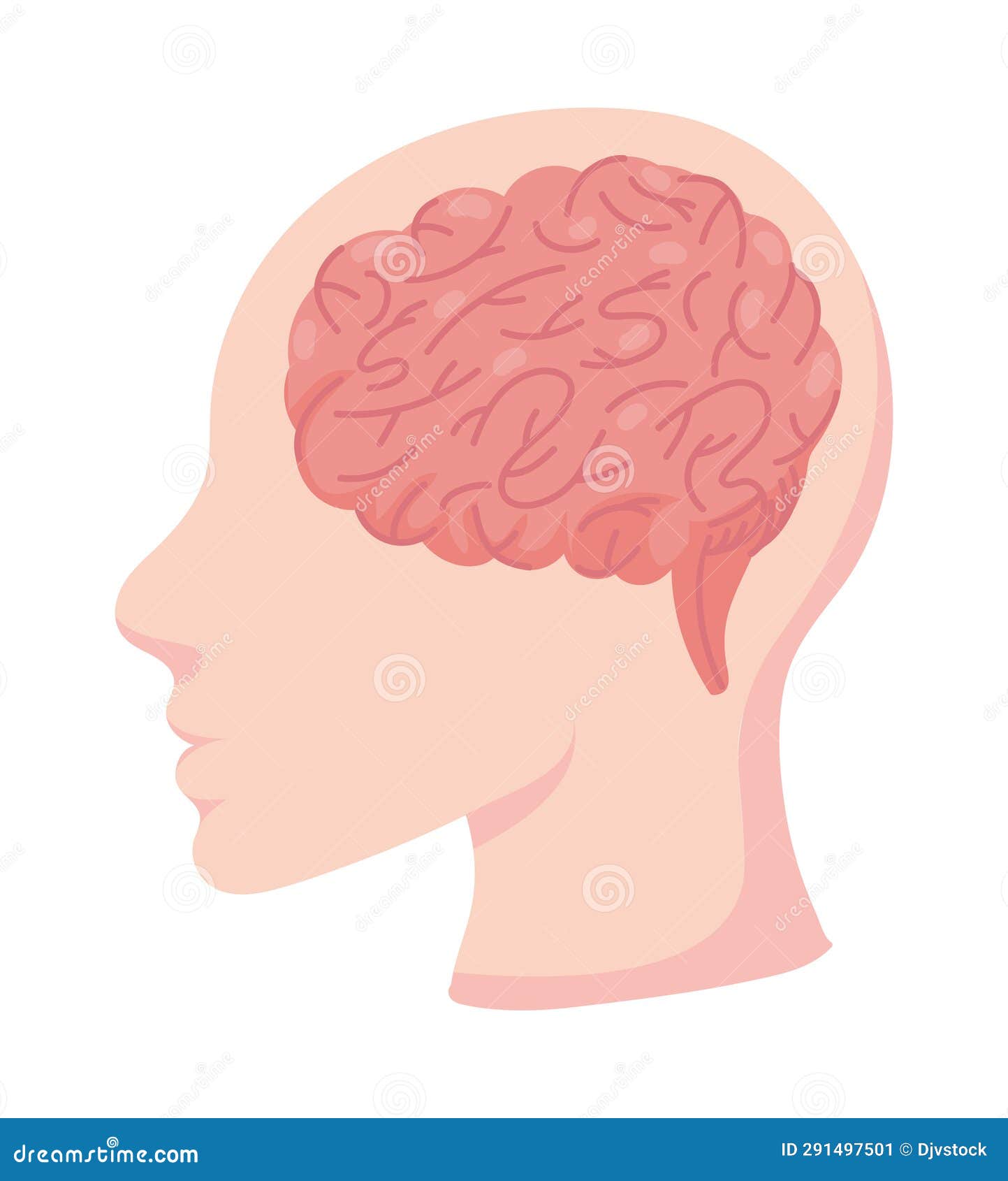 Profile brain human stock vector. Illustration of mind - 291497501