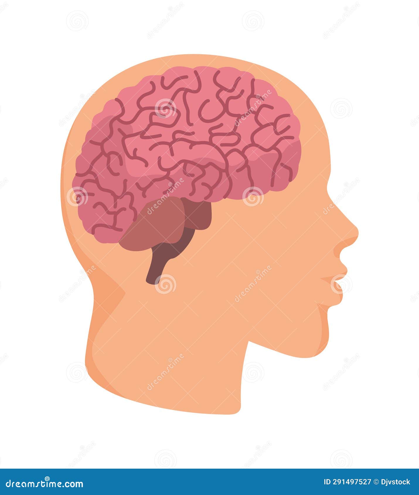 Profile brain intelligence stock vector. Illustration of face - 291497527