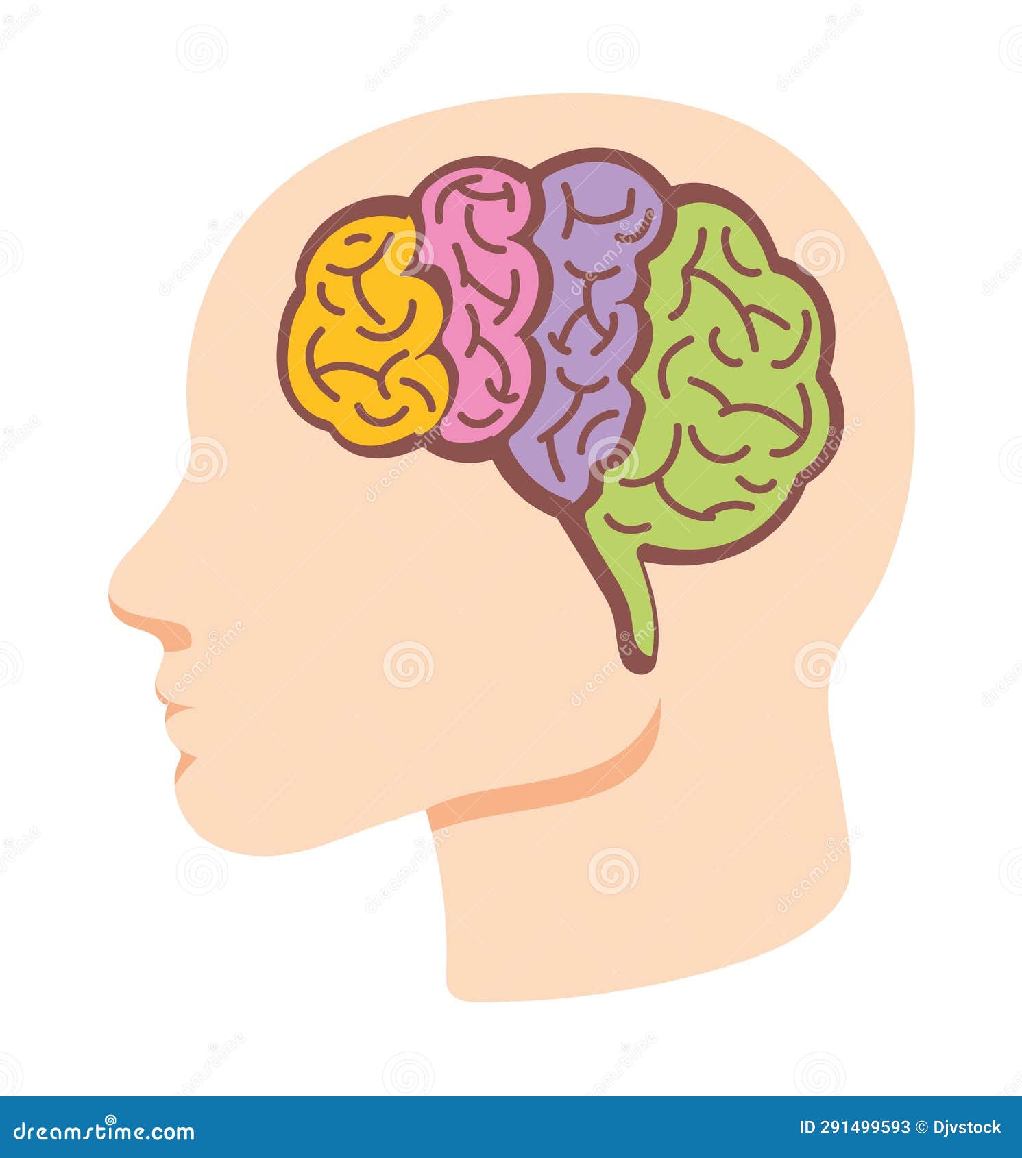 Profile Of Brain Drawn In Outline Drawing Style As The Blank For Stock ...