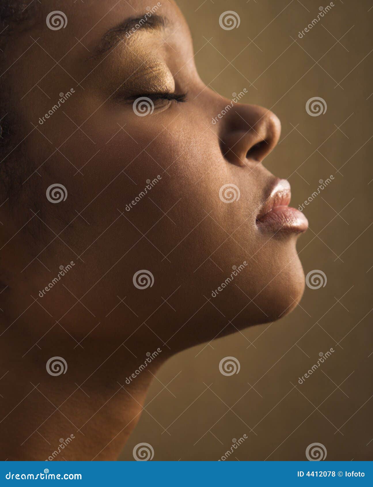 Profile of female s face. stock photo. Image of years - 4412078