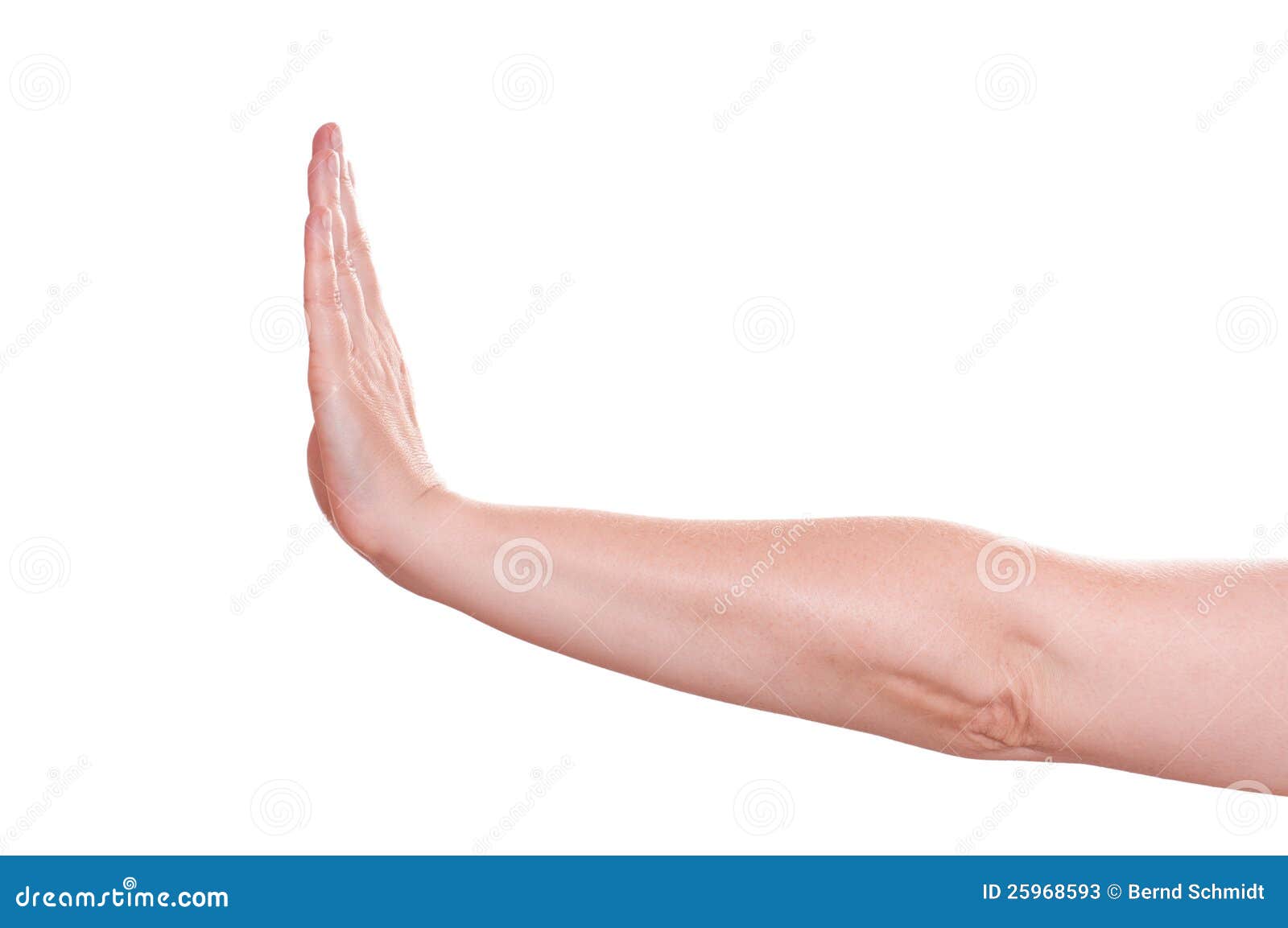 Profile of the Hand Sign Stop Stock Image - Image of refuse, hold: 25968593