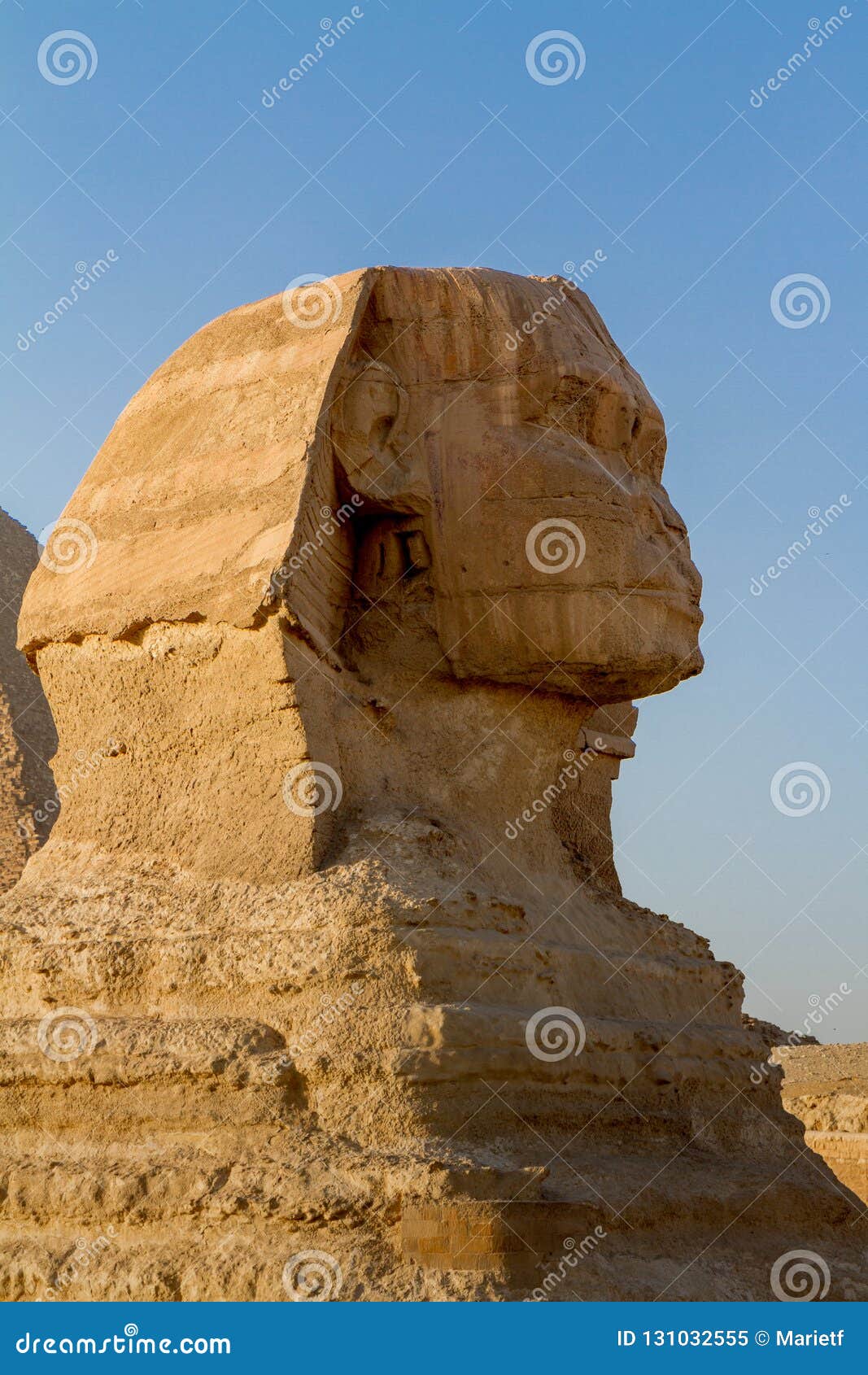 Profile of the Head of the Great Sphinx at the Giza Pyramid Complex ...