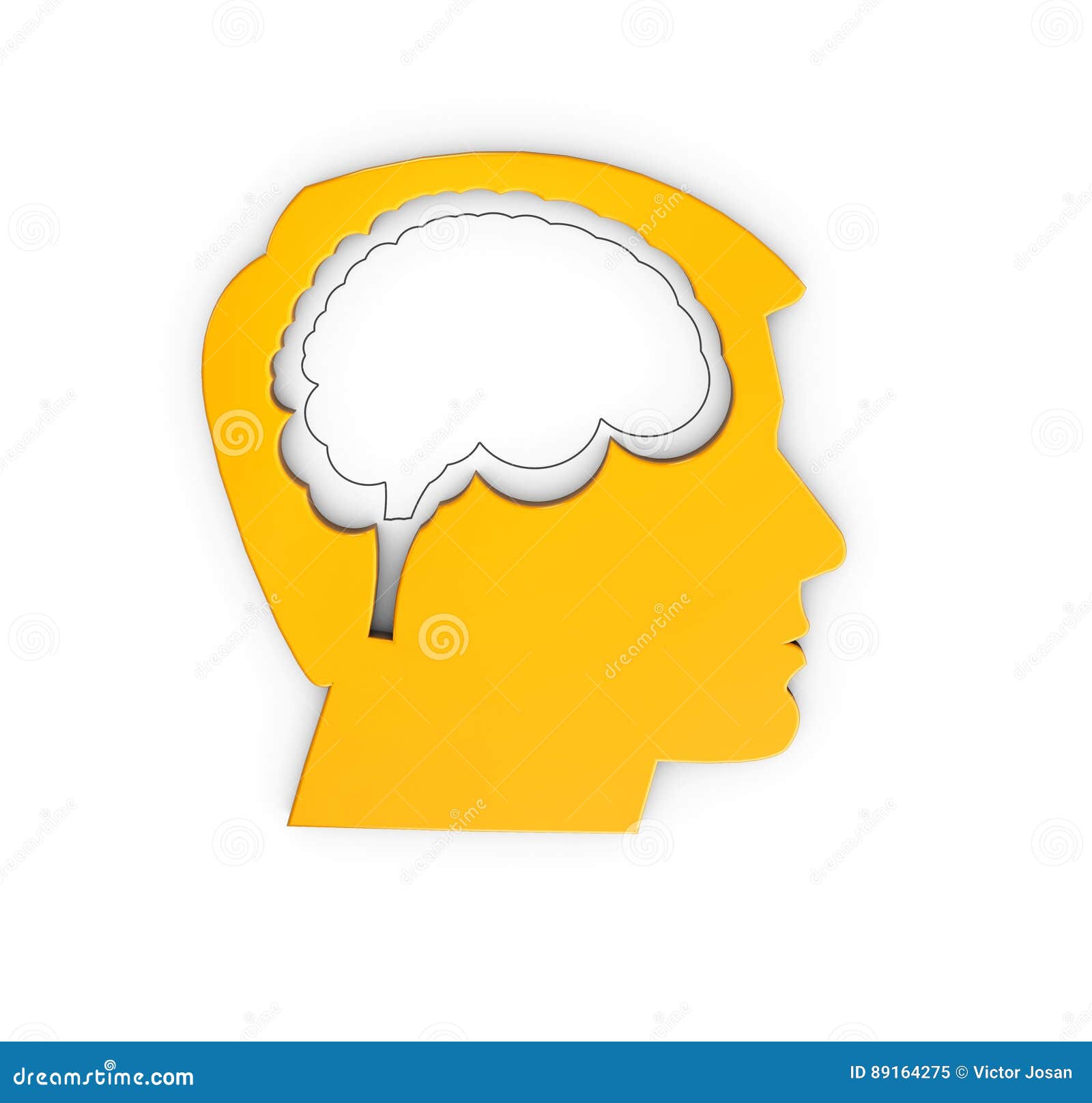 Profile of a Human Head with Brain, 3d Illustration Isolated White ...