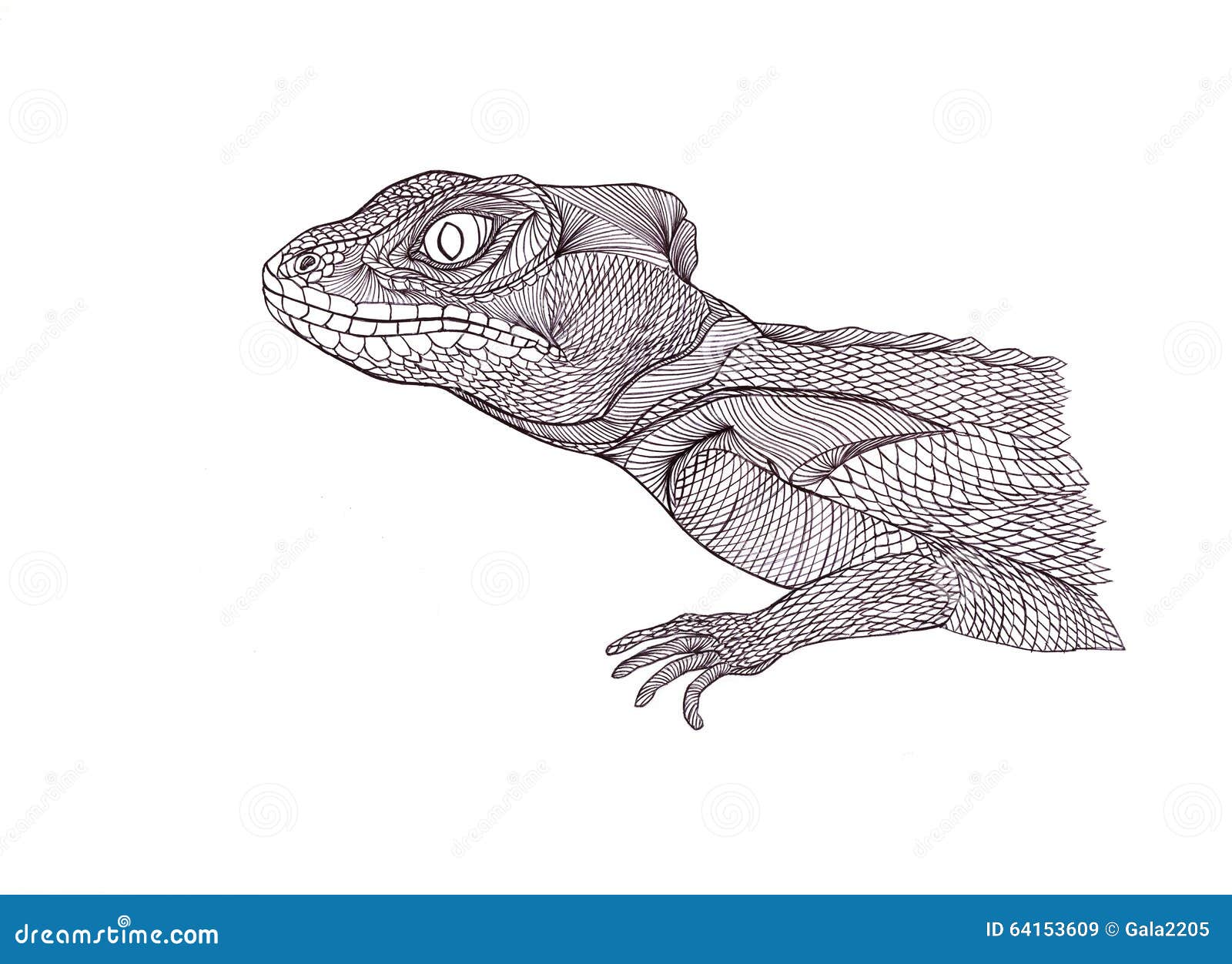 Profile Lizard. Hand drawn stock illustration. Illustration of creative ...