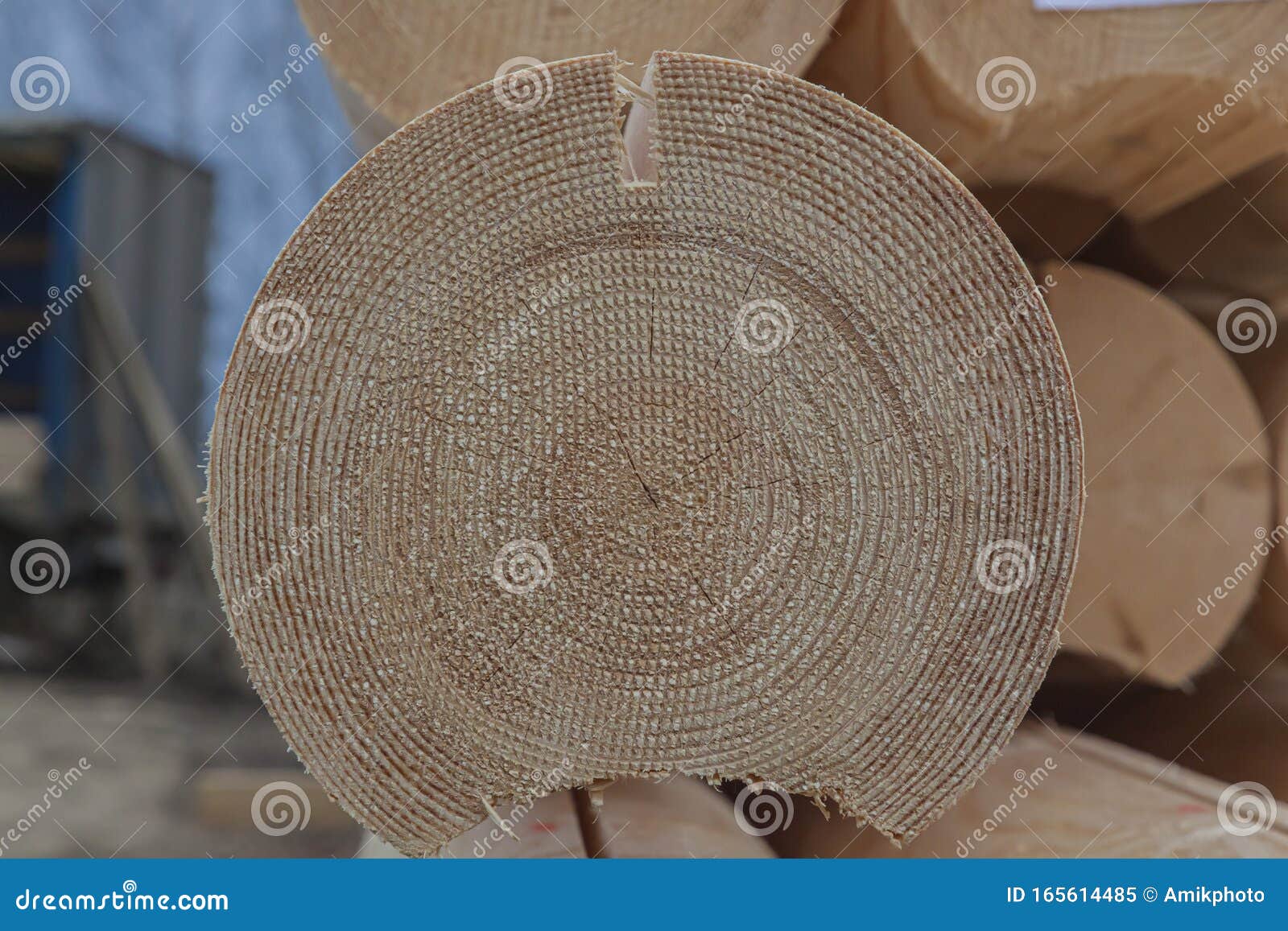 Profile of Logs for Construction Stock Image - Image of pile, nature ...