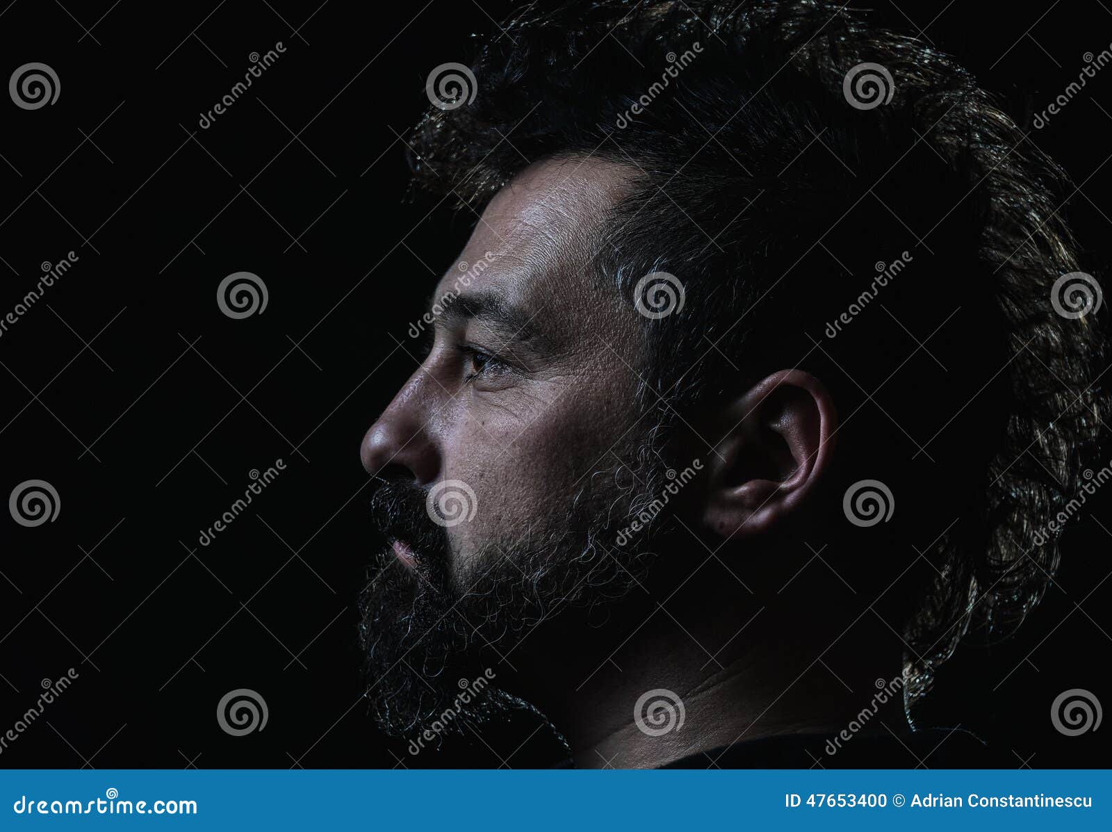 Profile of Man with Crest Hairstyle and Goatee Beard Stock Photo ...