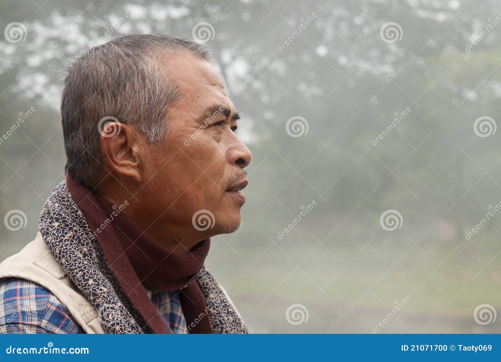 Profile of an Old Man Staring Stock Photo - Image of older, leisure ...