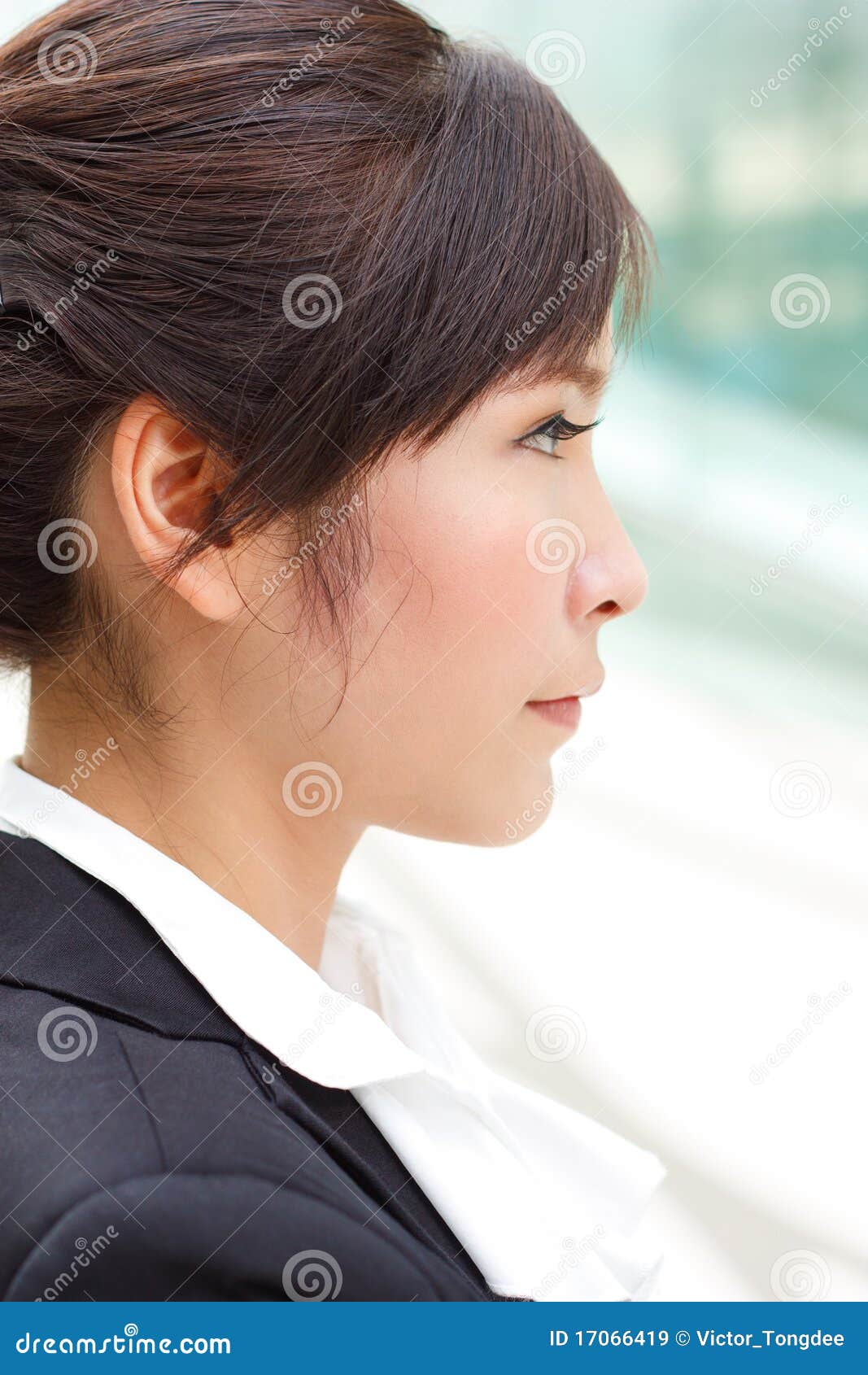 Profile portrait stock image. Image of executive, girl - 17066419